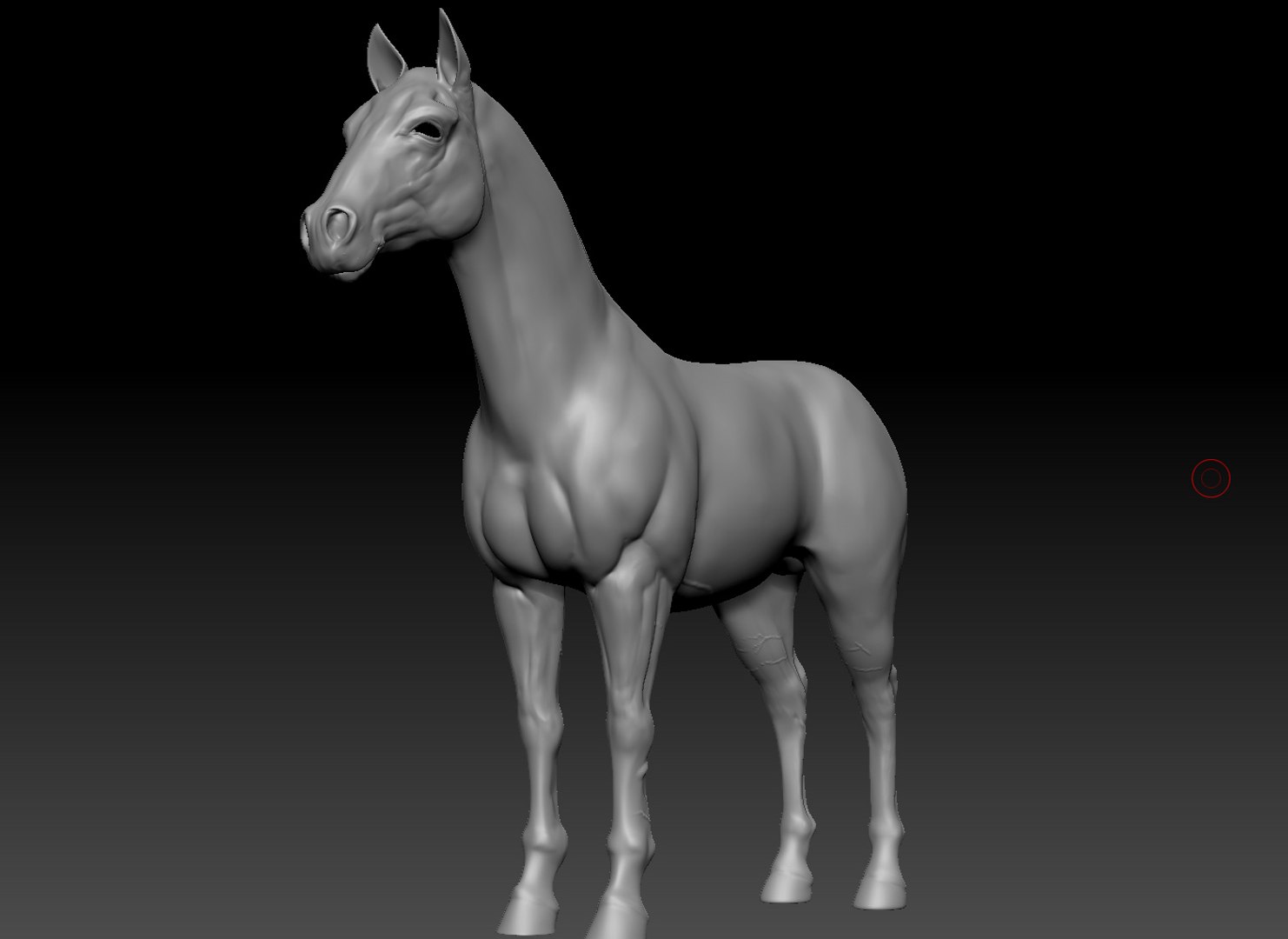 Horse Mane Animation 3d Model