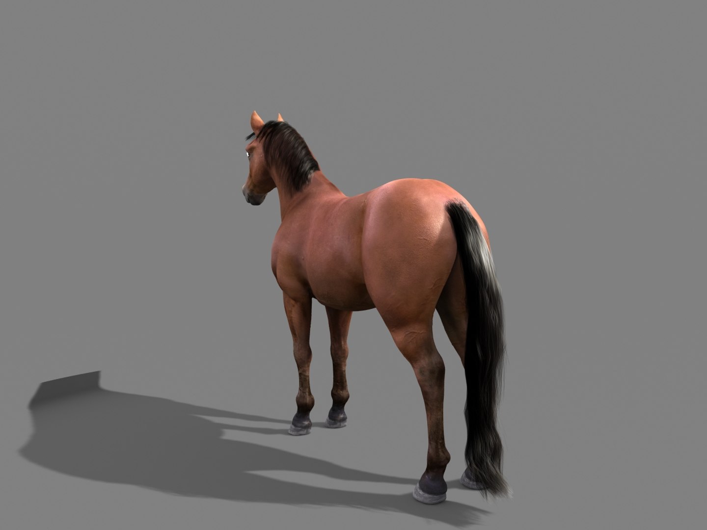 Horse Mane Animation 3d Model