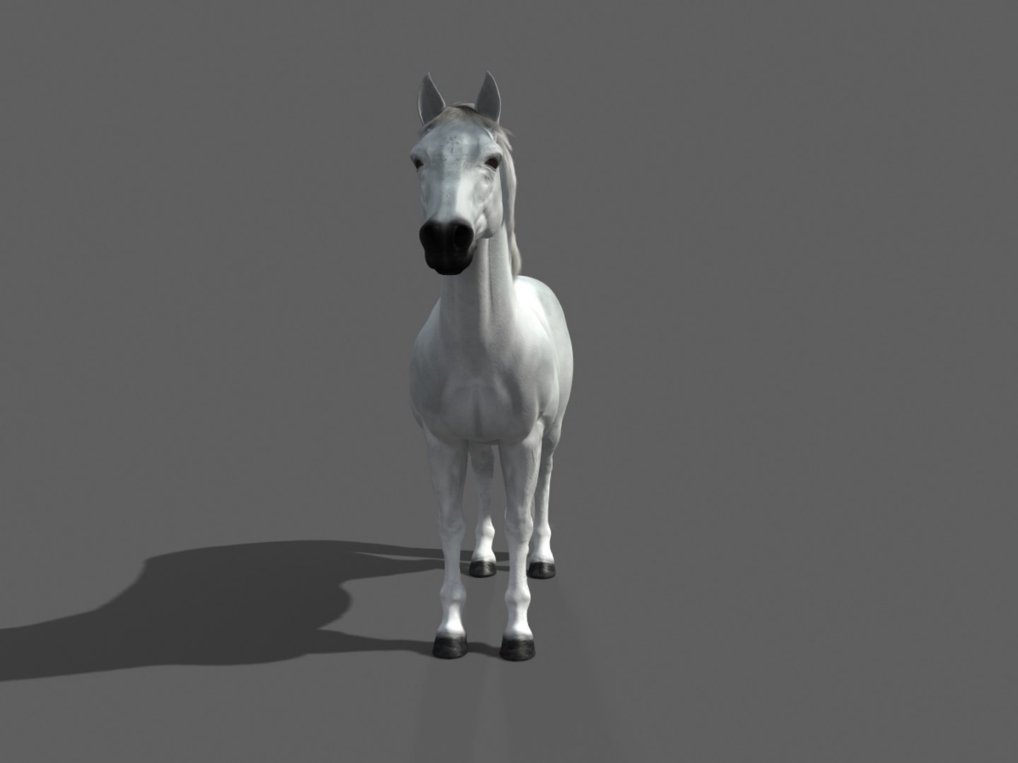 Horse Mane Animation 3d Model