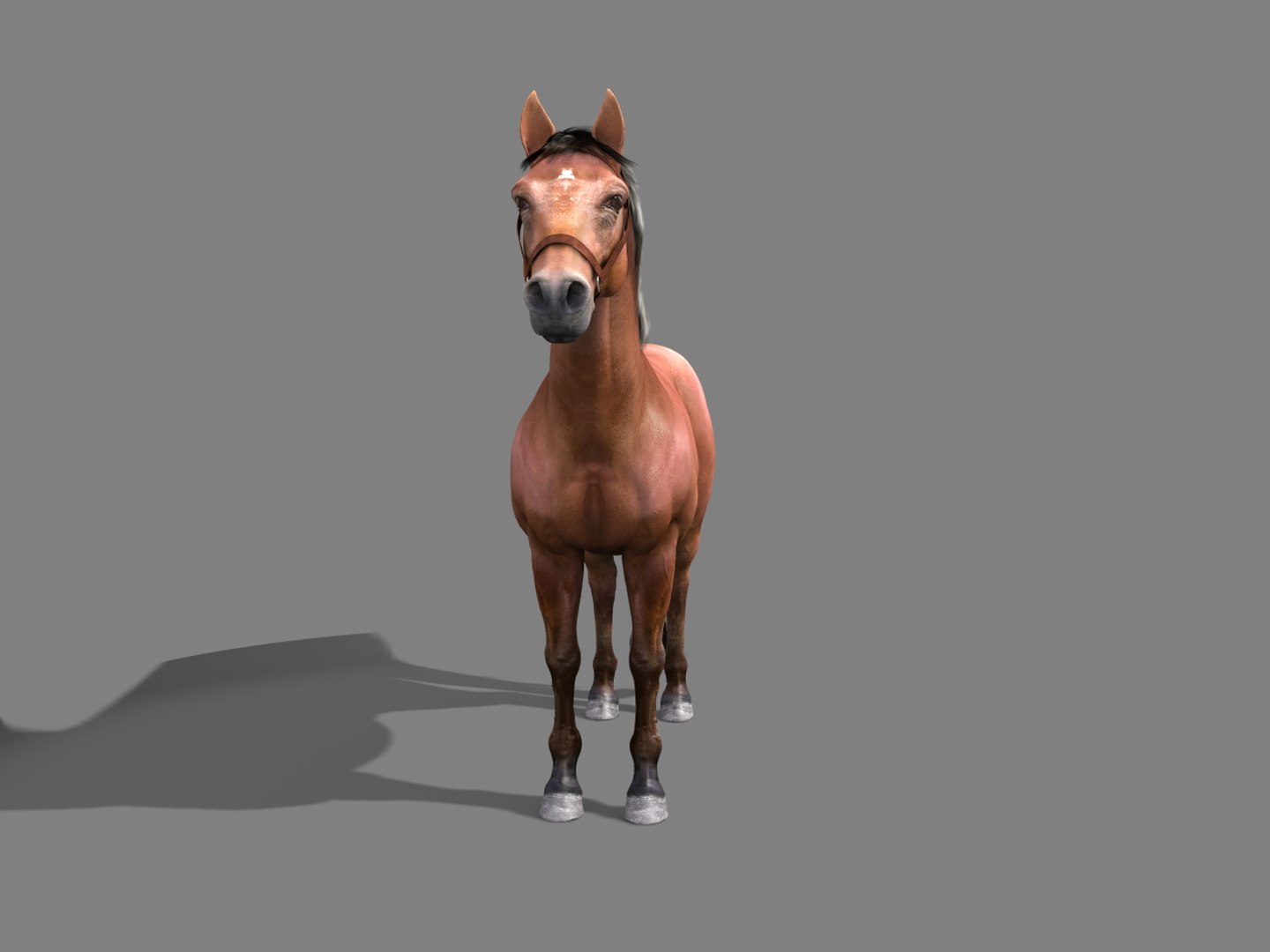 Horse Mane Animation 3d Model