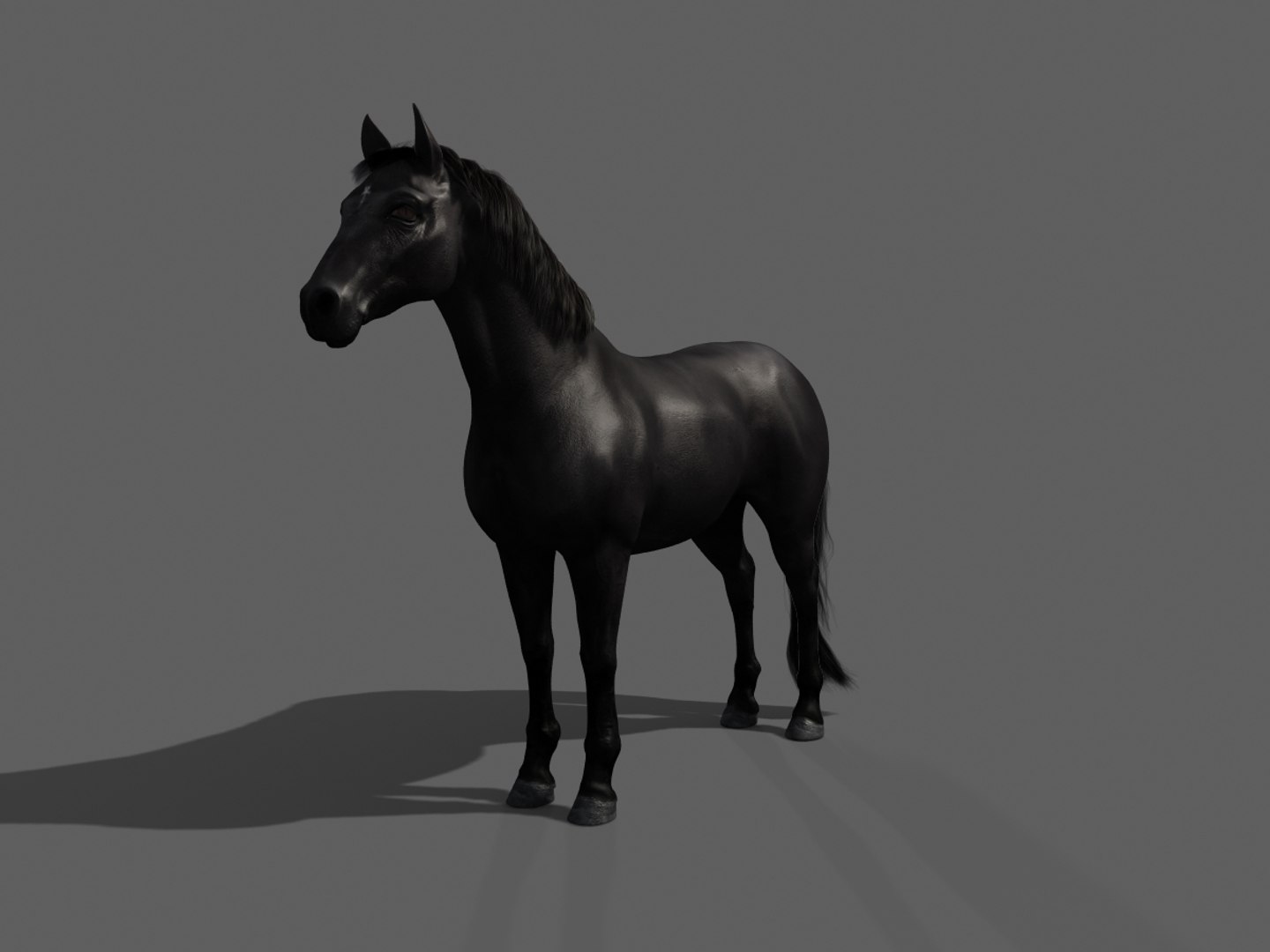 Horse Mane Animation 3d Model