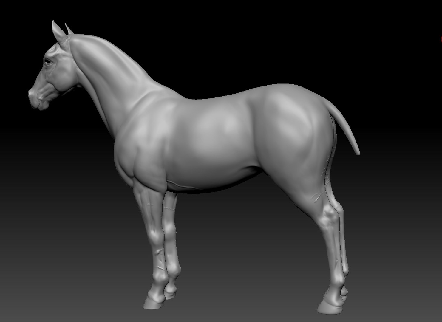 Horse Mane Animation 3d Model