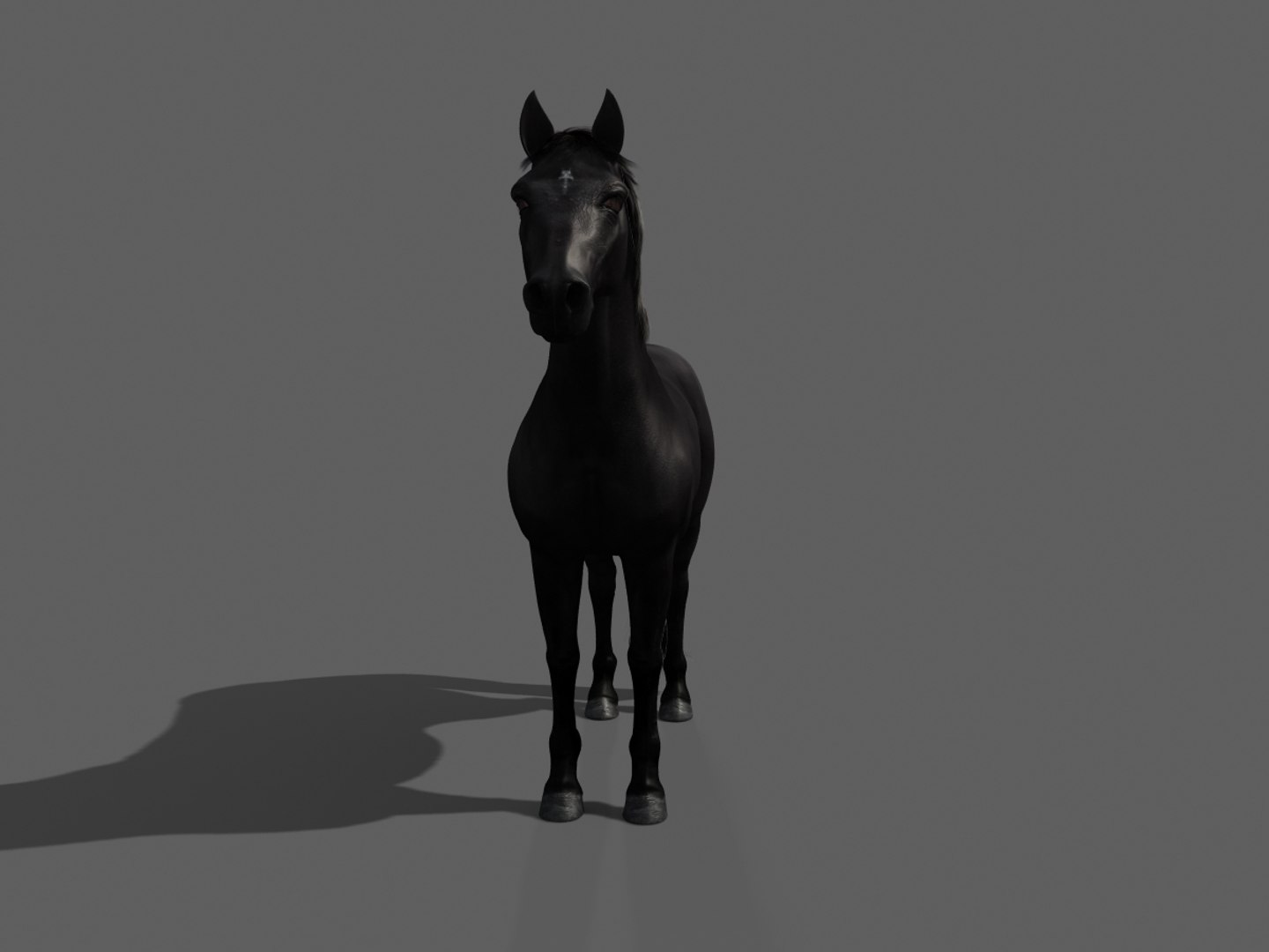 Horse Mane Animation 3d Model
