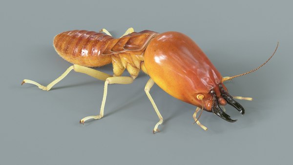 modelo 3d Soldado de termitas Rigged Xgen - TurboSquid 2226689