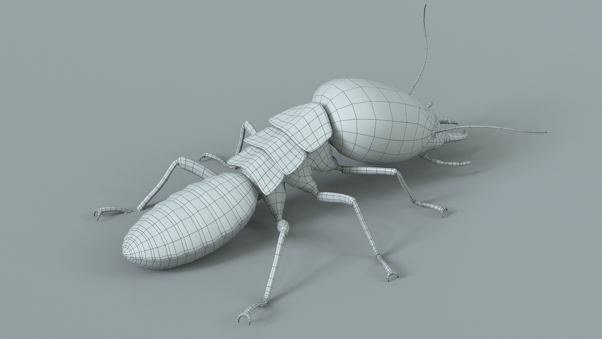 3D Termite Soldier Rigged Xgen - TurboSquid 2226689