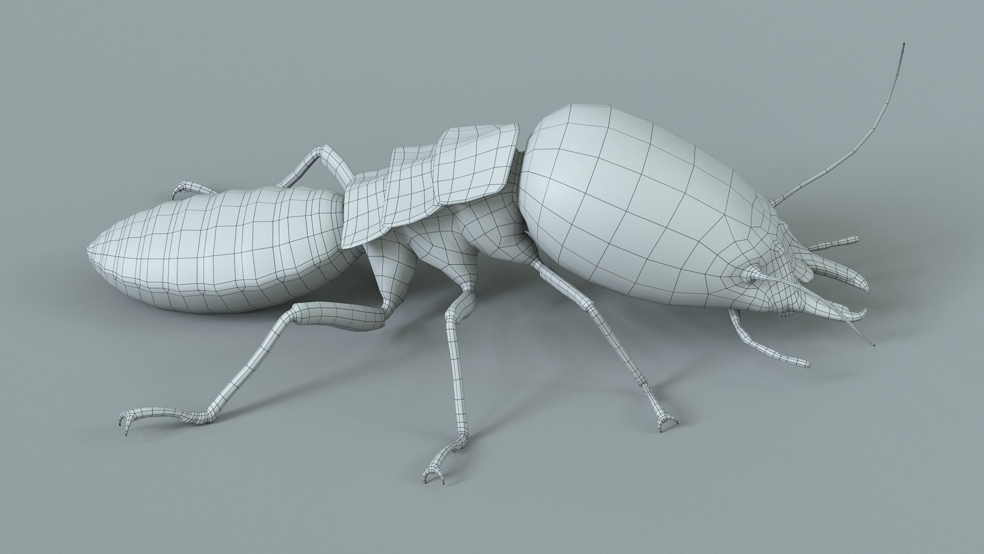 3D Termite Soldier Rigged Xgen - TurboSquid 2226689