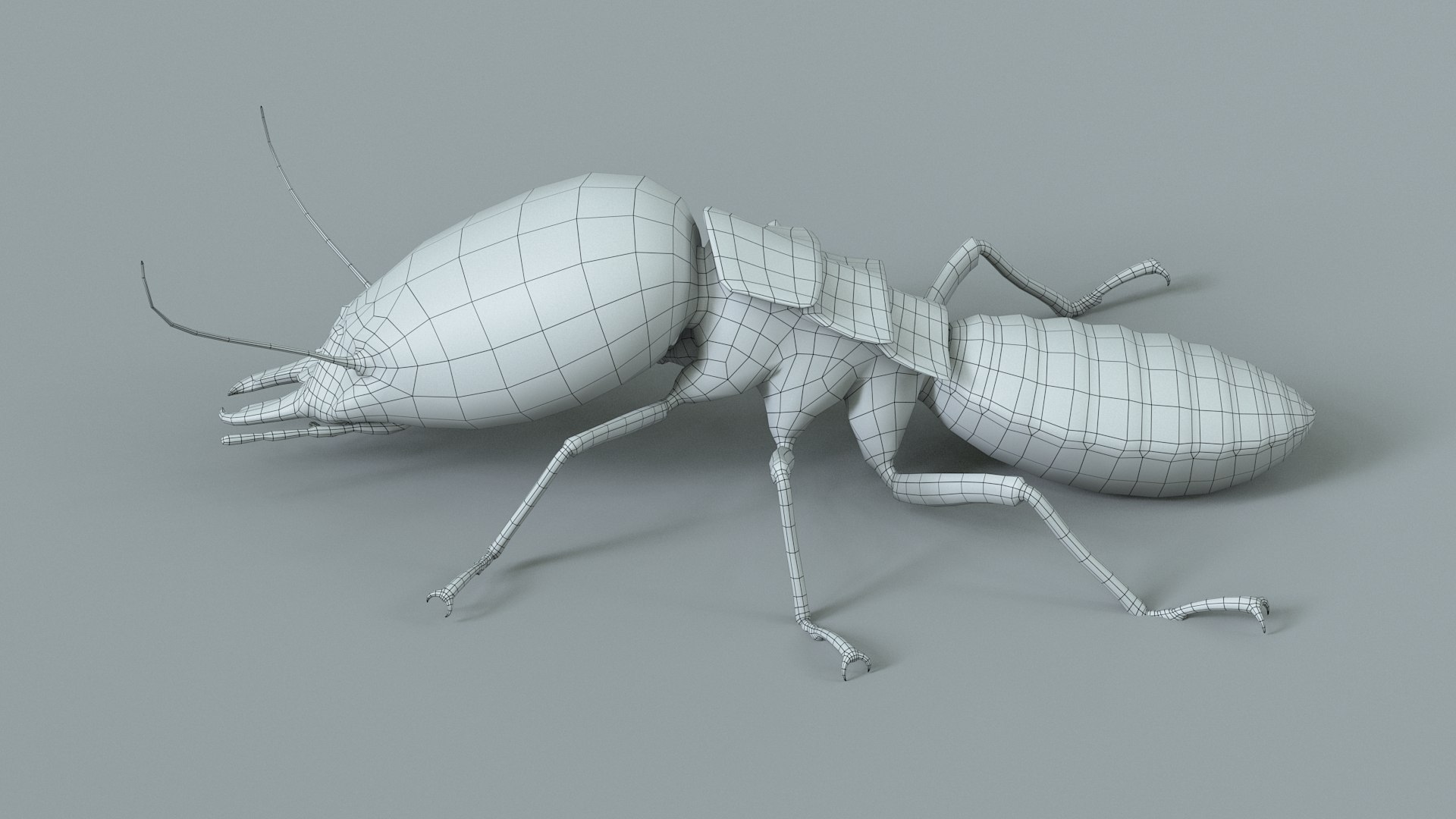 3D Termite Soldier Rigged Xgen - TurboSquid 2226689