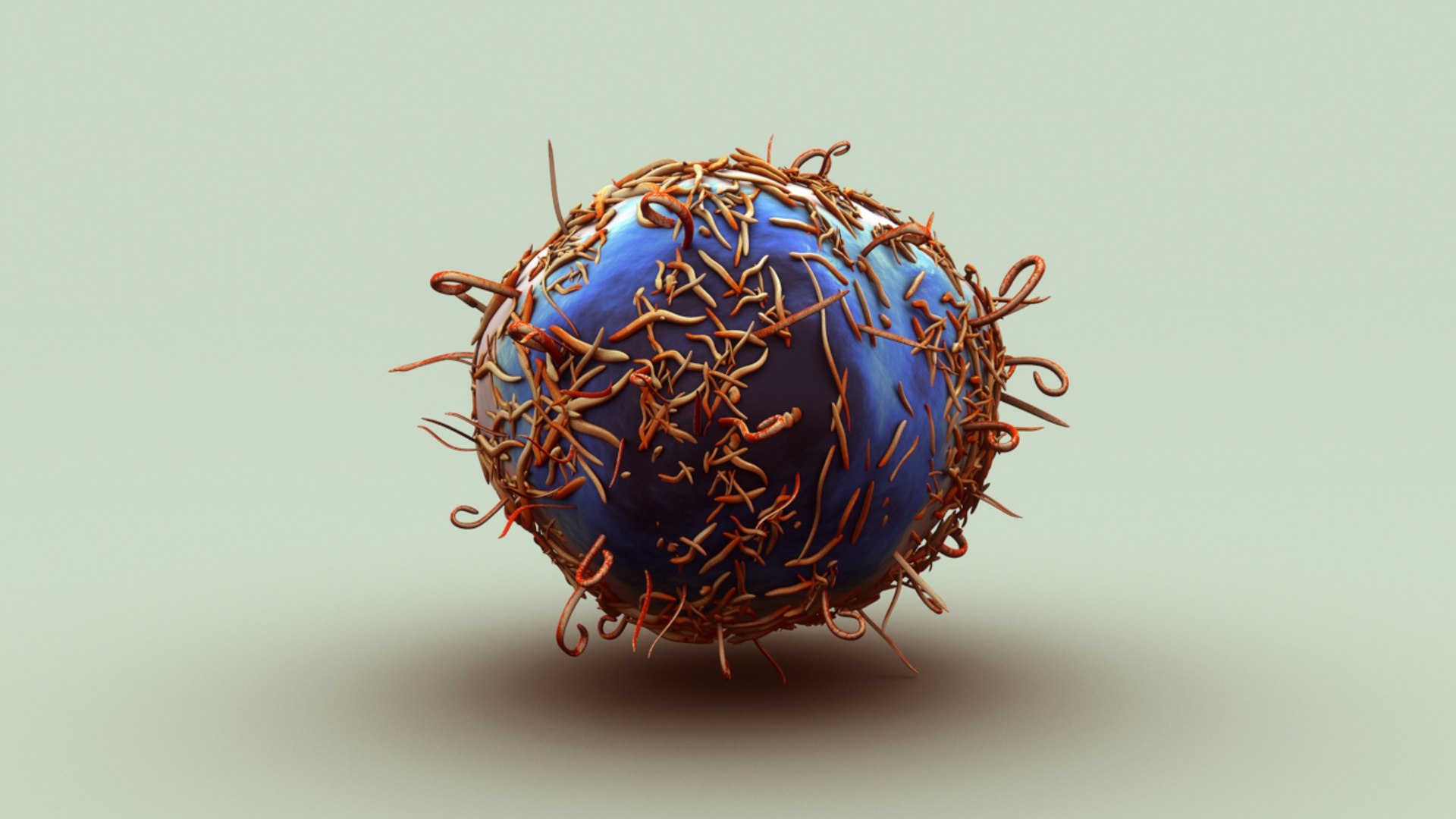 3d Model Enterovirus Virus