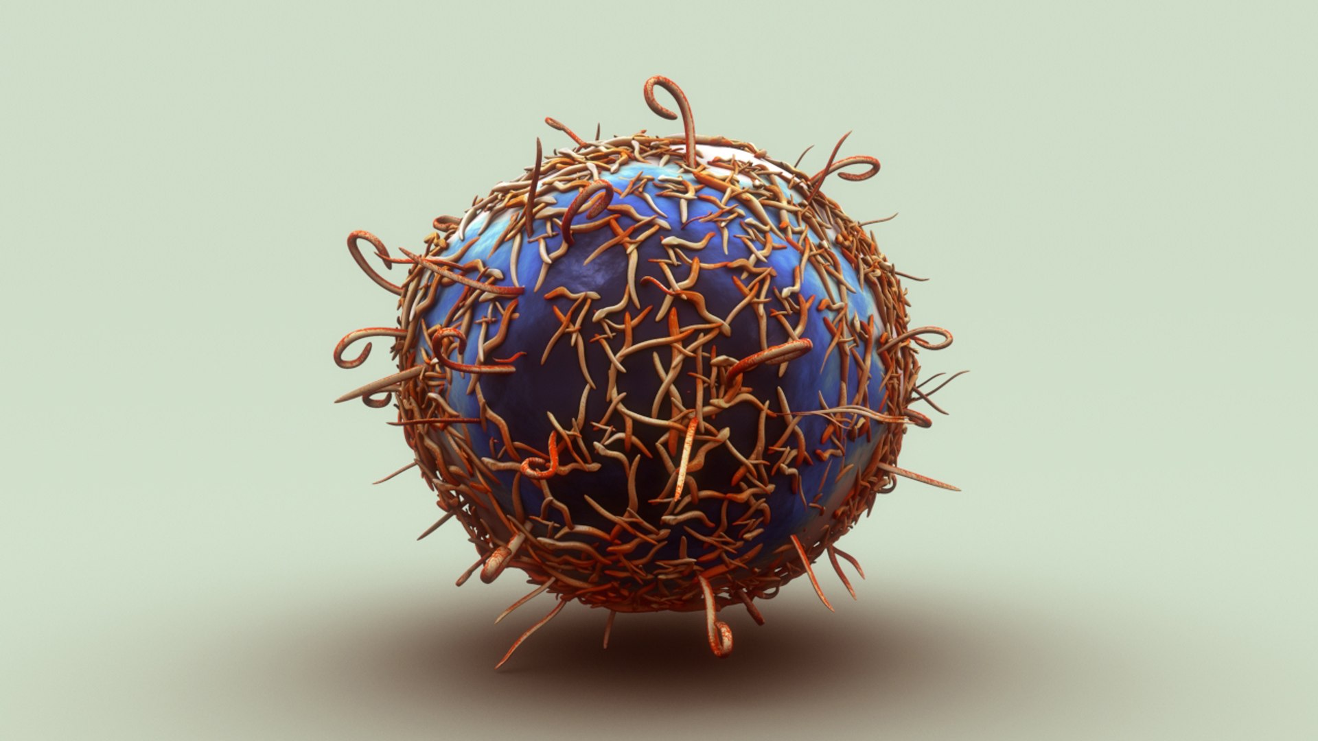 3d Model Enterovirus Virus
