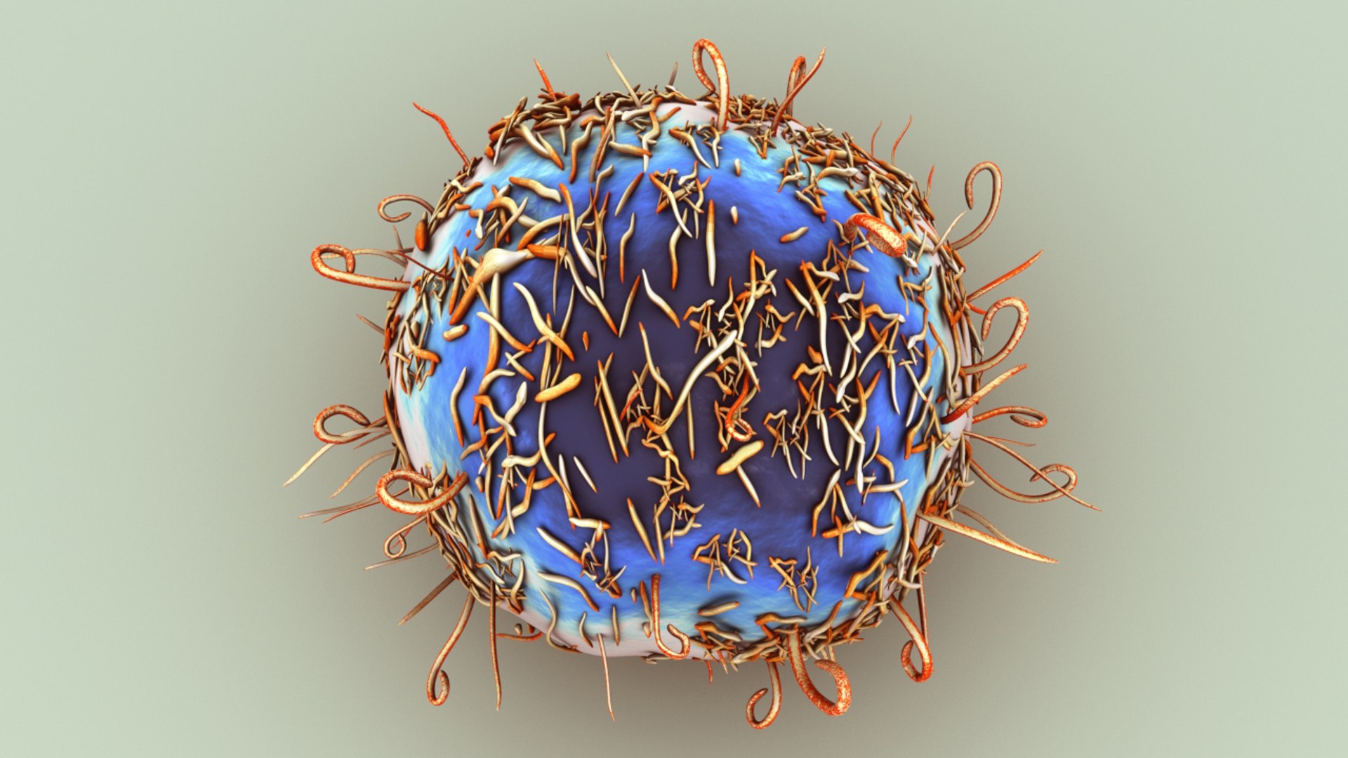 3d Model Enterovirus Virus