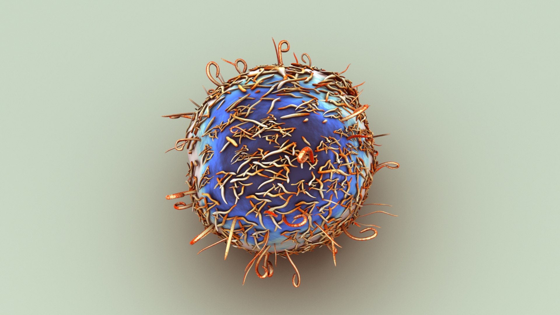 3d Model Enterovirus Virus