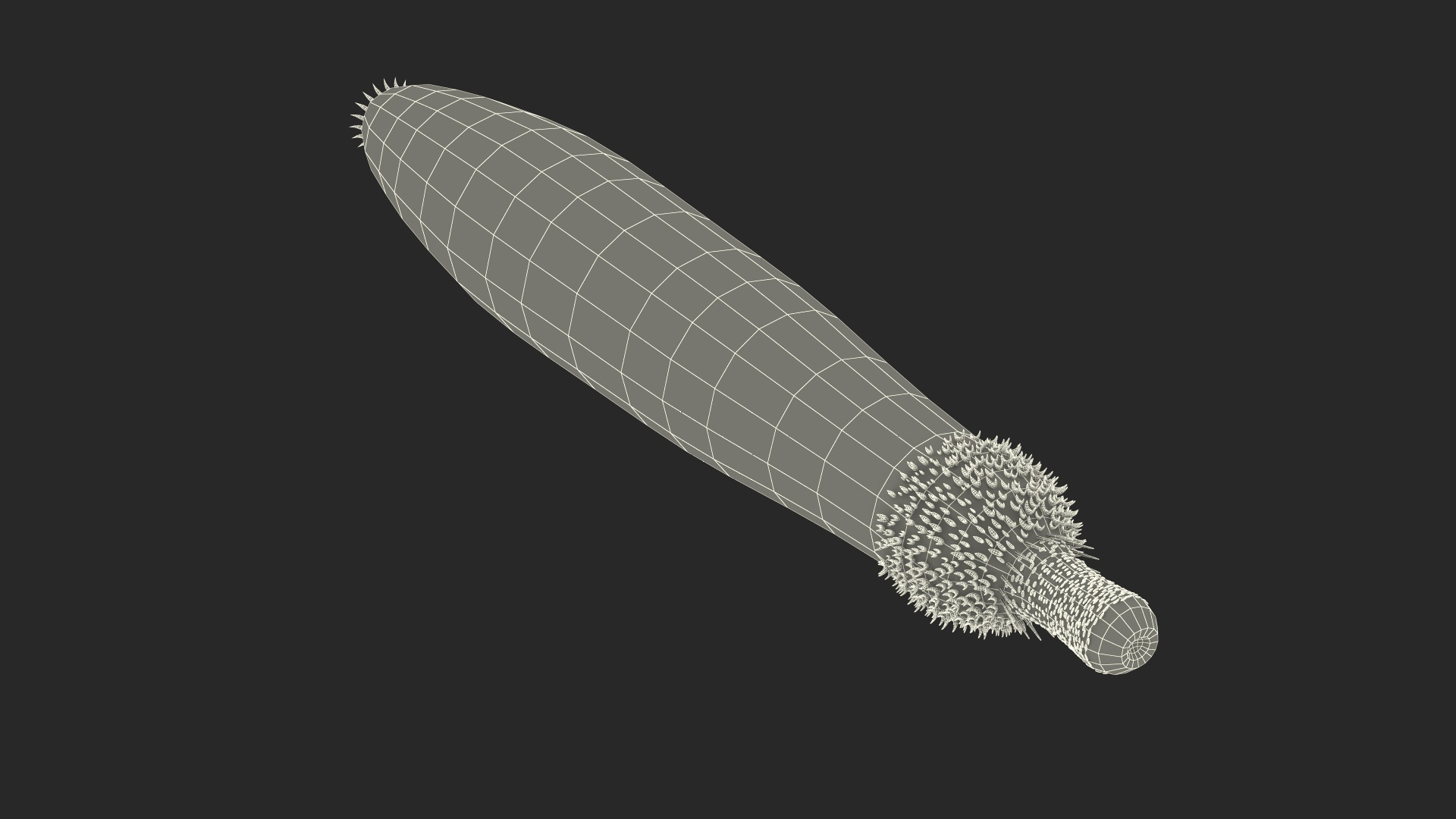 Ottoia Relict Marine Worm Rigged For Maya 3D Model - TurboSquid 2183356