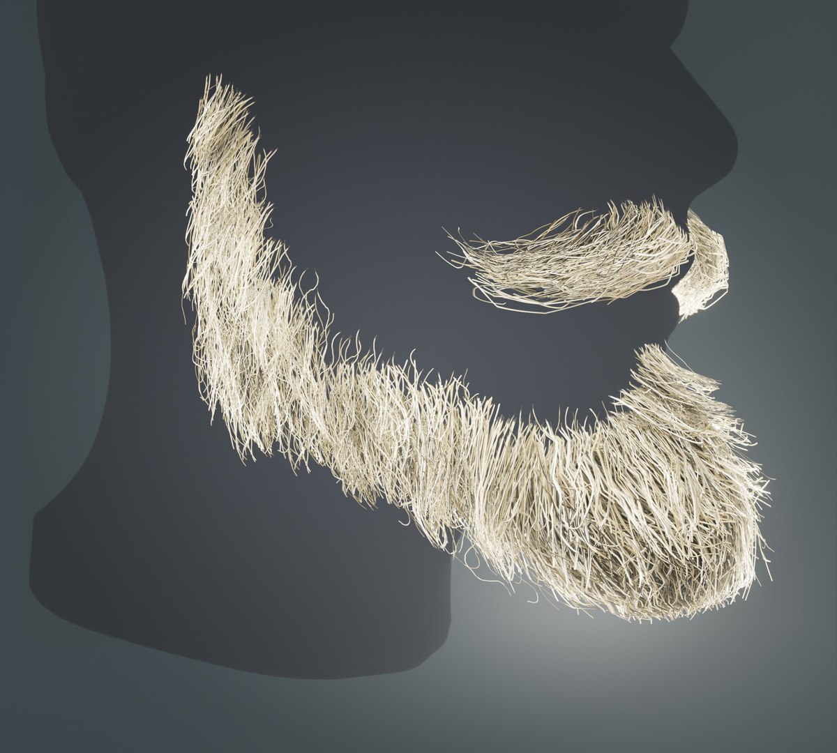 Beard RealTime 5 Version 1 Model - TurboSquid 1892332