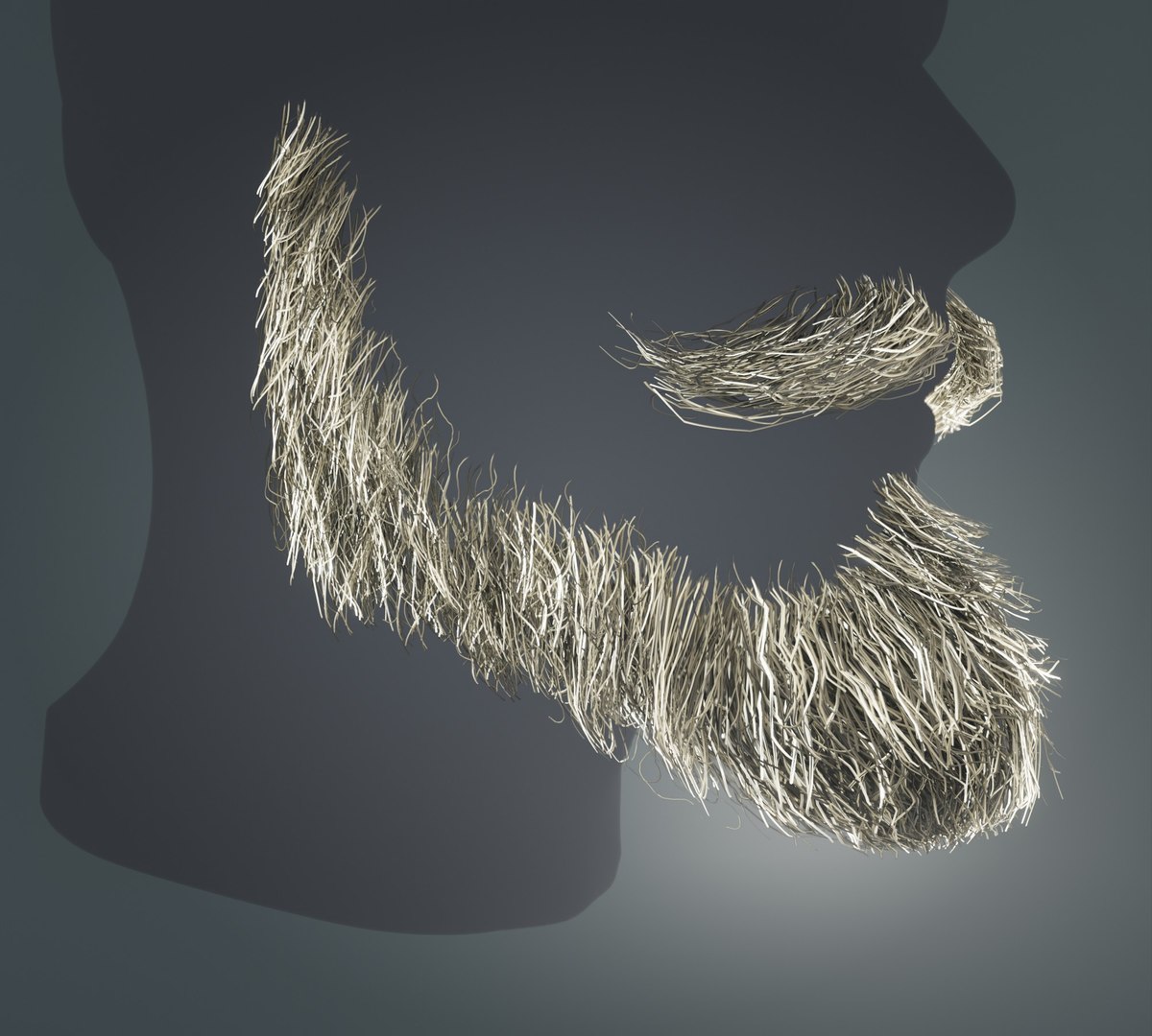 Beard RealTime 5 Version 1 Model - TurboSquid 1892332