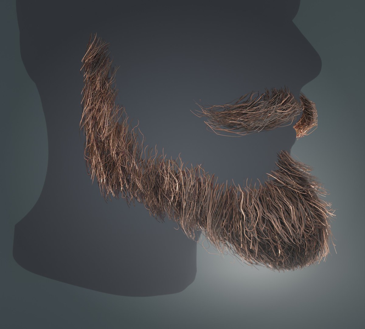 Beard RealTime 5 Version 1 Model - TurboSquid 1892332