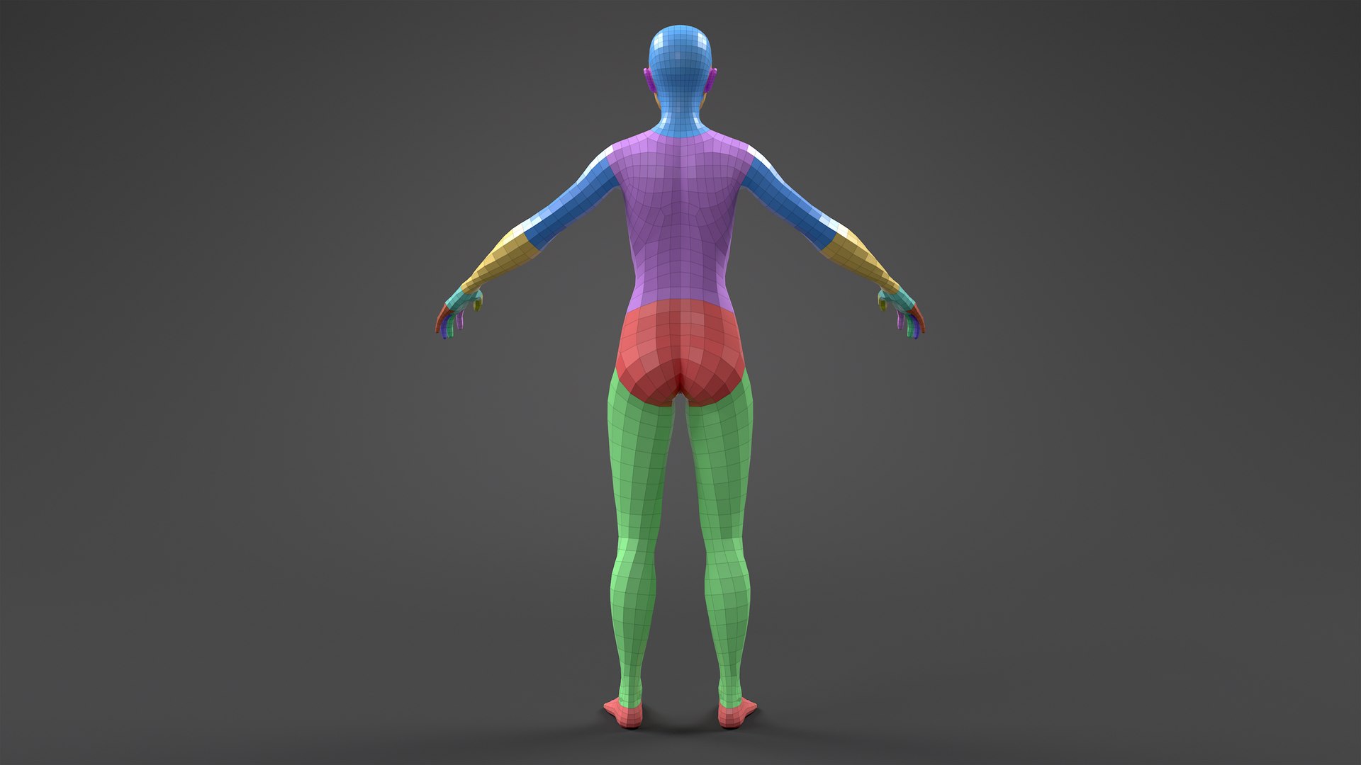 3D Sculpting Anatomy - TurboSquid 1420383