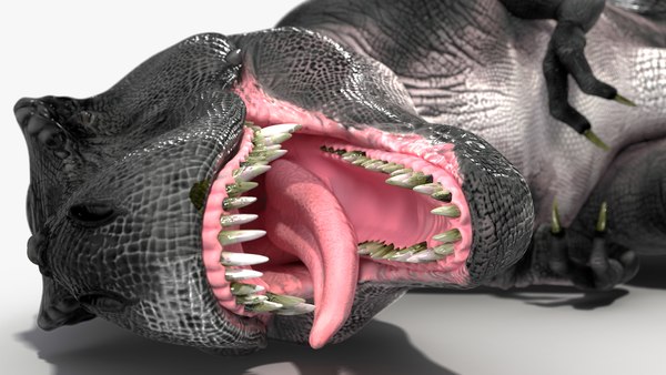 modelo 3d Postura para dormir del T Rex - TurboSquid 2101374