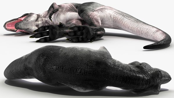 modelo 3d Postura para dormir del T Rex - TurboSquid 2101374