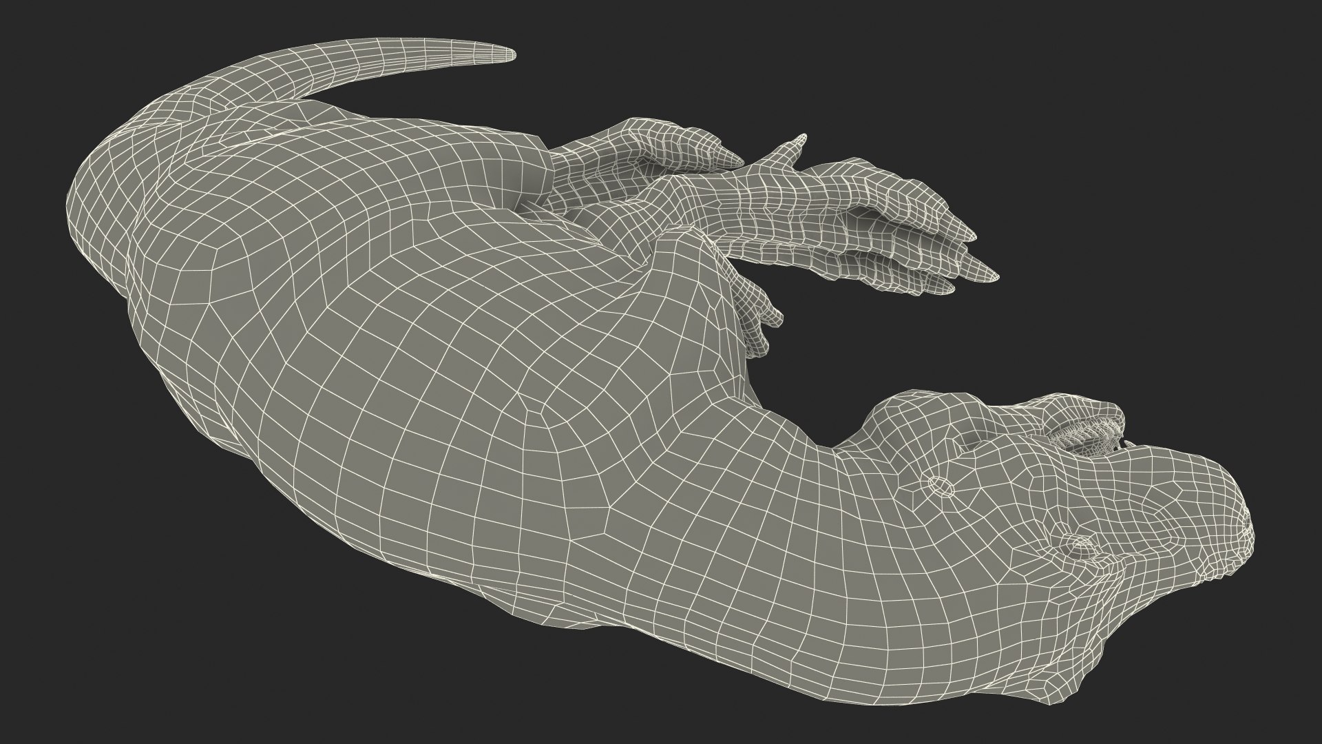 T Rex Sleep Pose 3D Model - TurboSquid 2101374