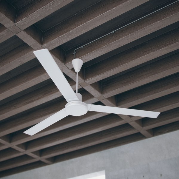 Free Ceiling Fan 3D Models for Download | TurboSquid