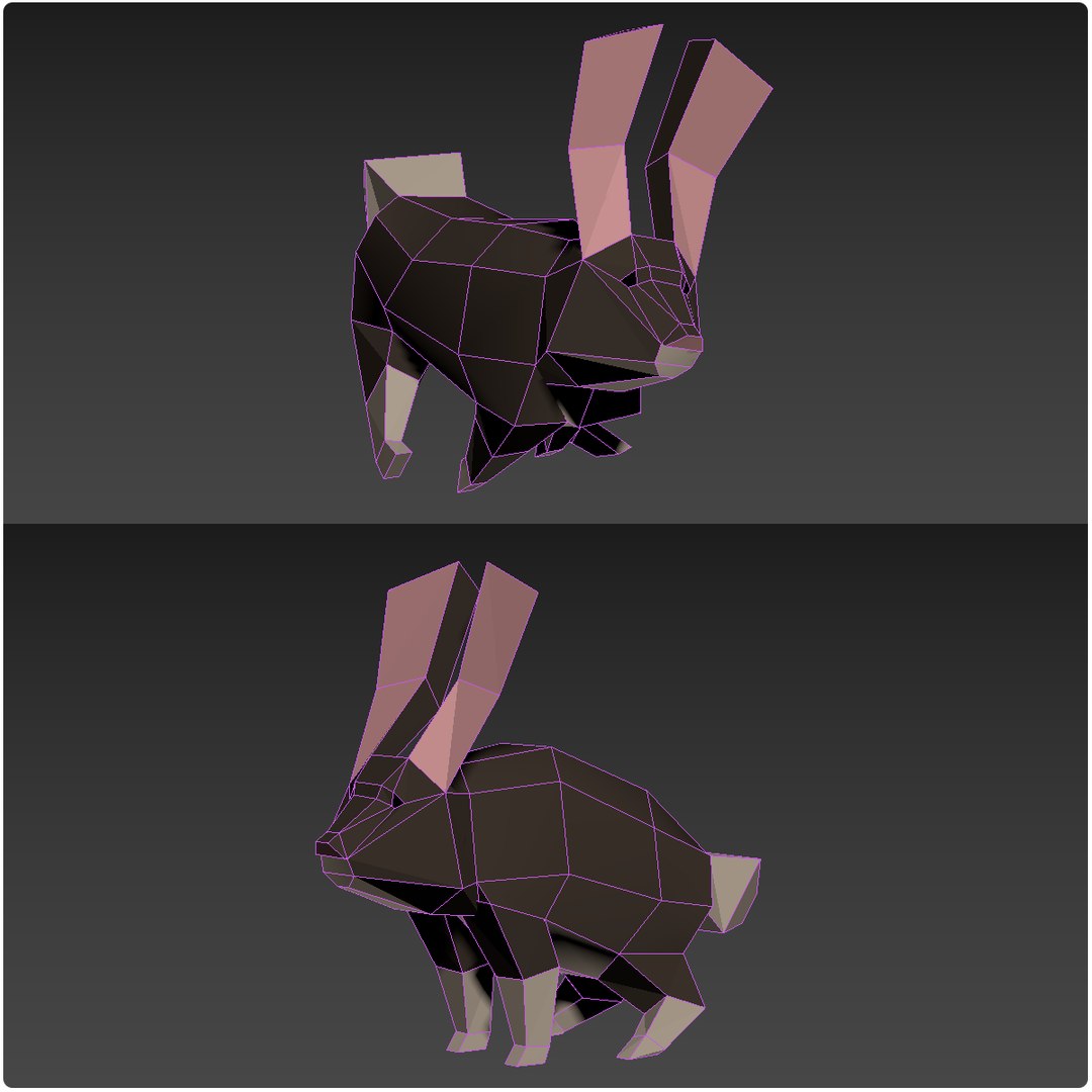 3D Rabbit Animation Rigged - TurboSquid 1563420