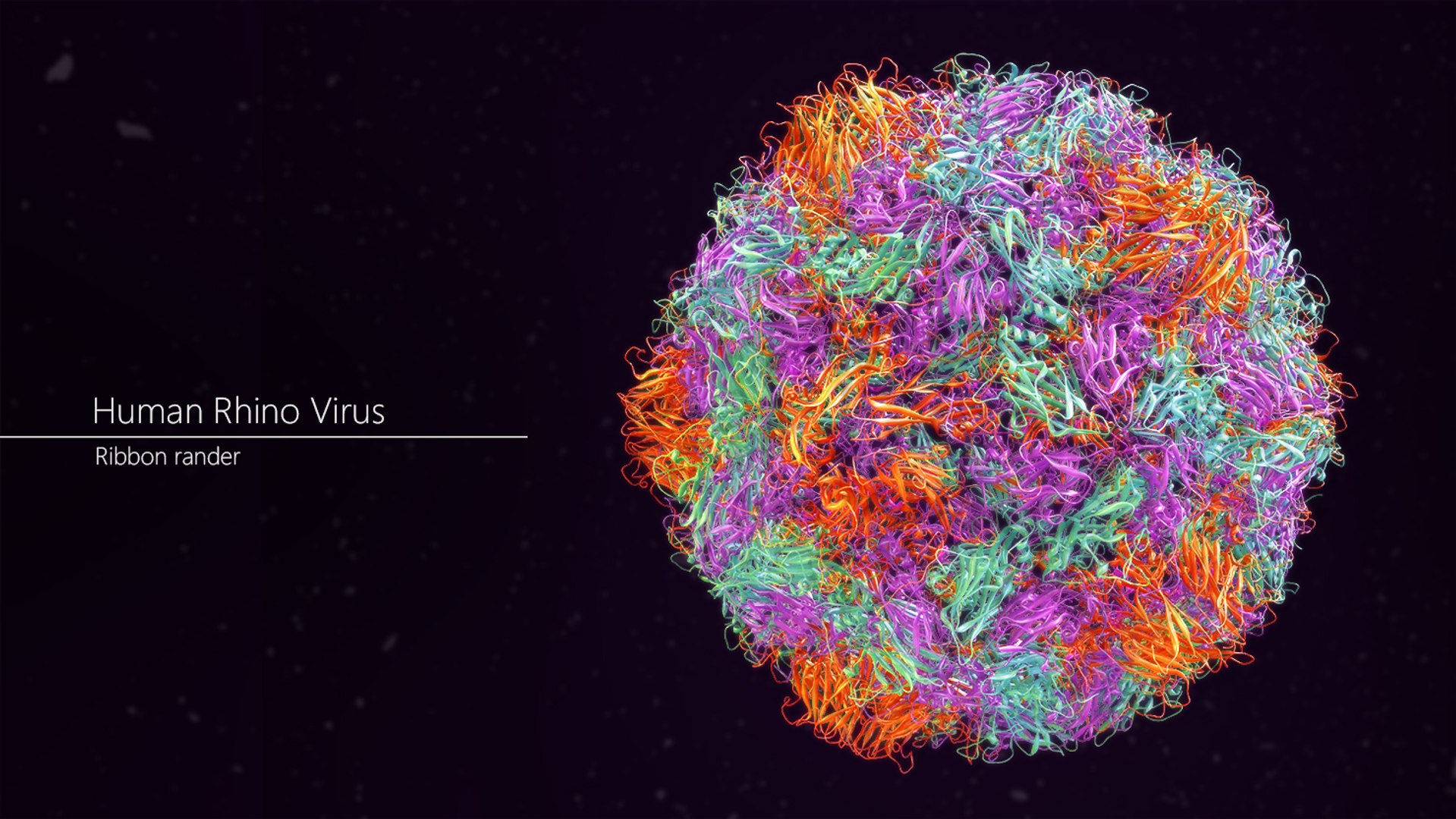 3D Human Rhino Virus Common - TurboSquid 1355047