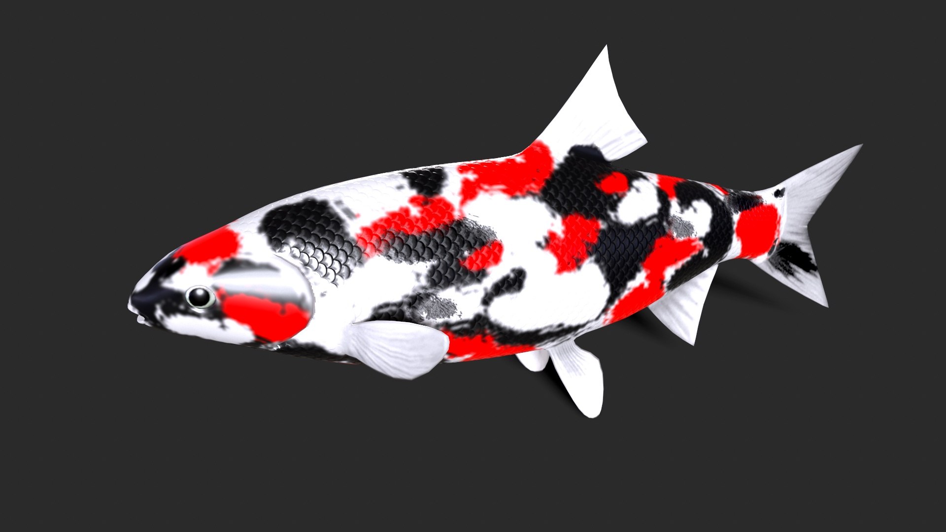 Fish 3D Model - TurboSquid 2257004