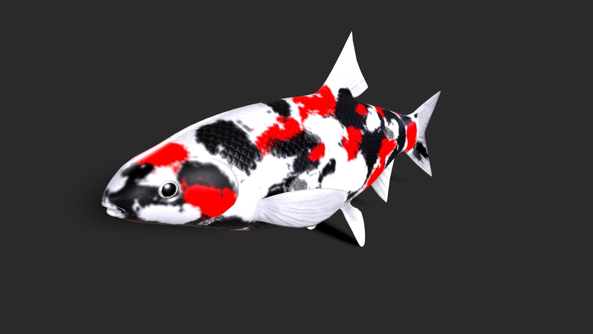 Fish 3D Model - TurboSquid 2257004