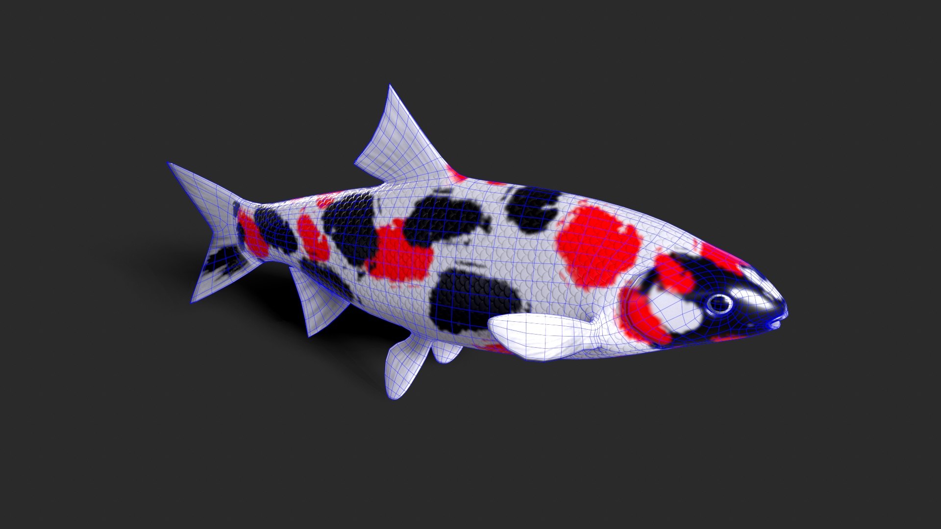 Fish 3D Model - TurboSquid 2257004