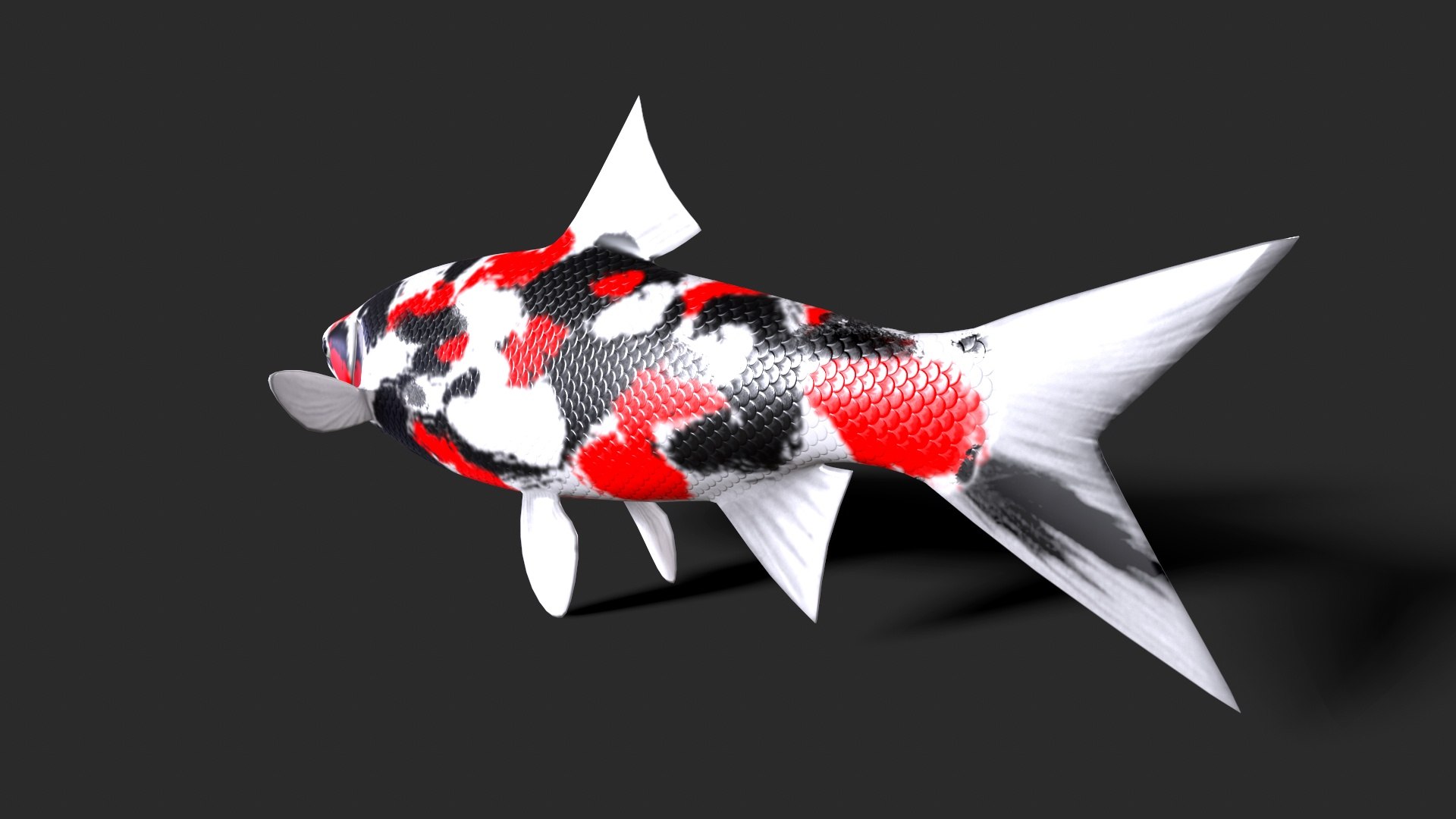 Fish 3D Model - TurboSquid 2257004