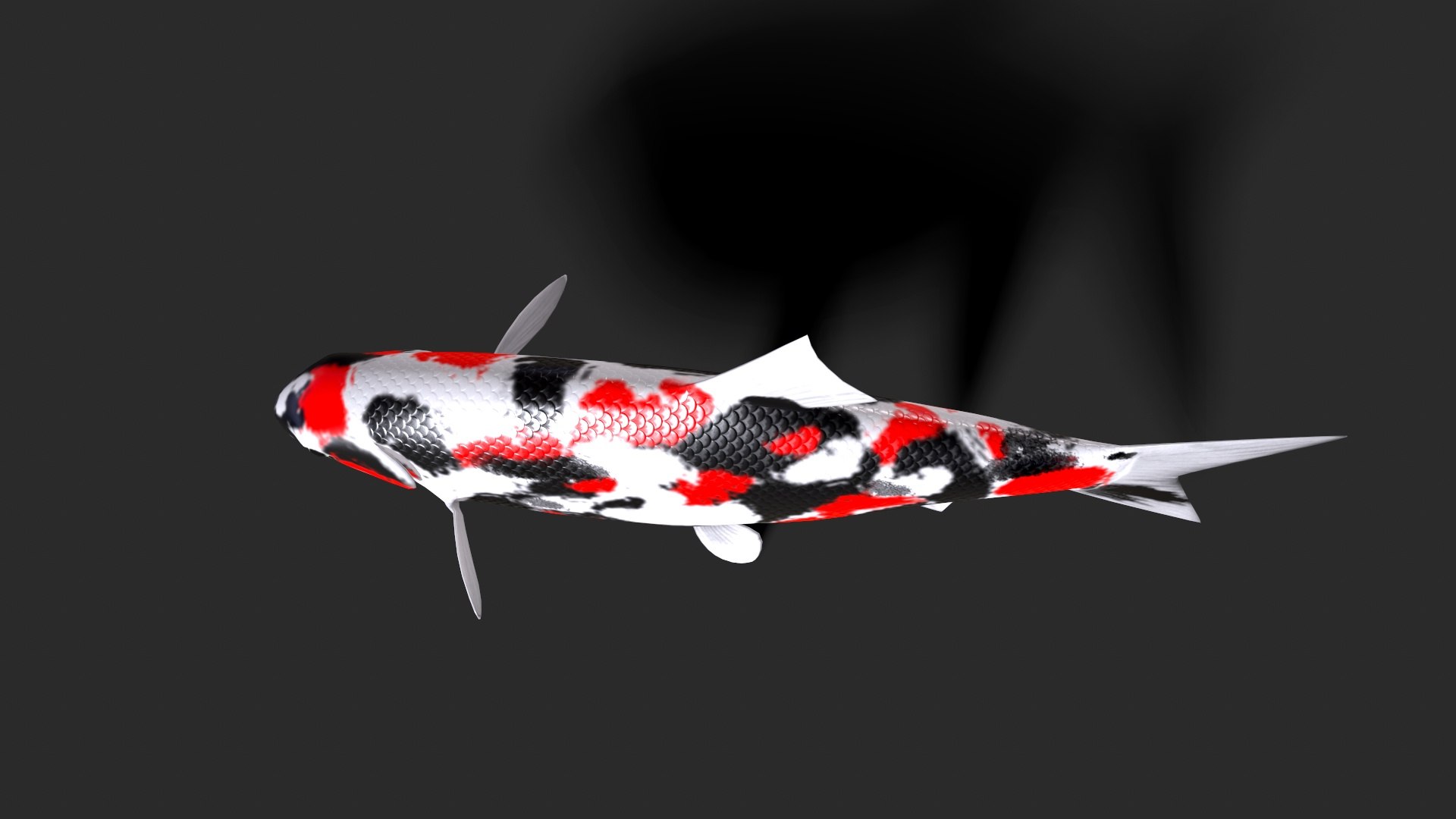 Fish 3D Model - TurboSquid 2257004
