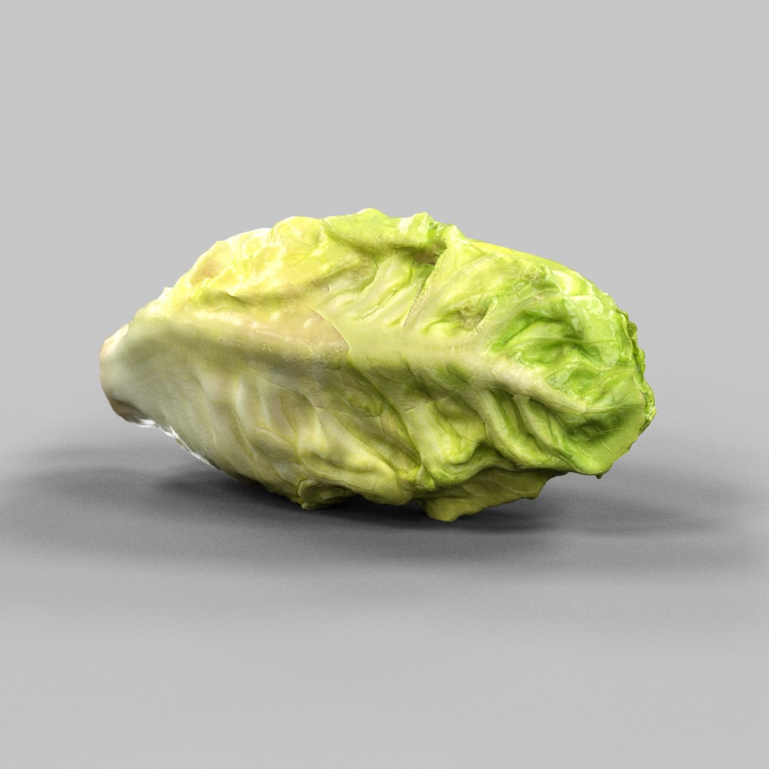 Salad Food 3d Obj