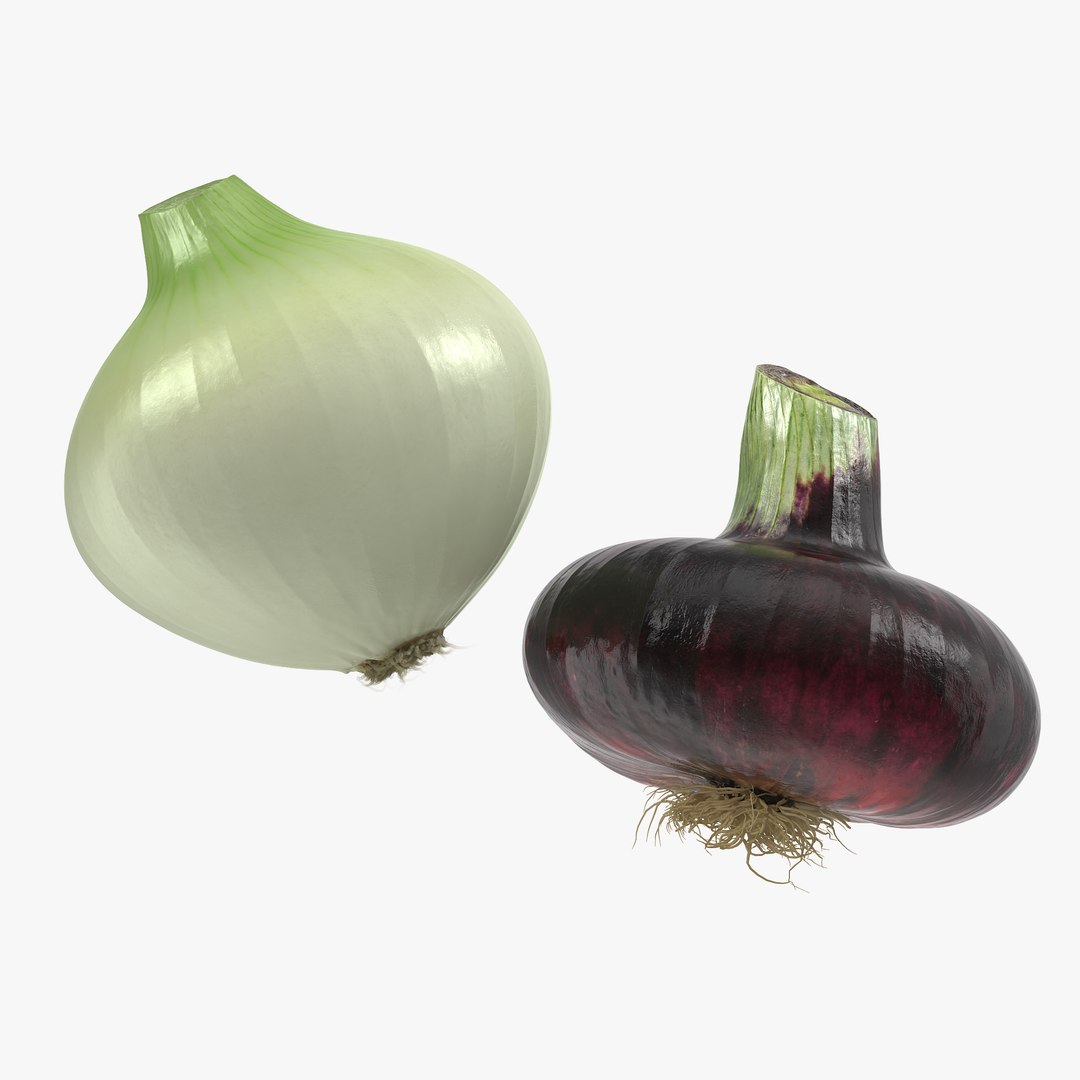 Onion 3D - TurboSquid 1190144