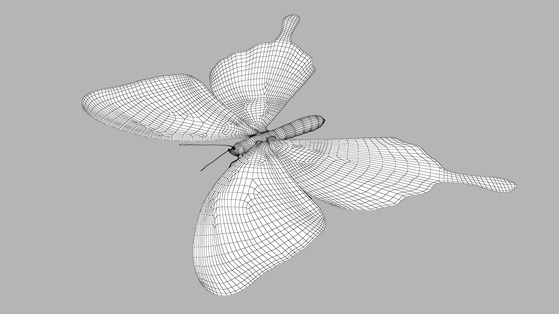 3D Paper Handkerchief Butterfly Model - TurboSquid 1578757