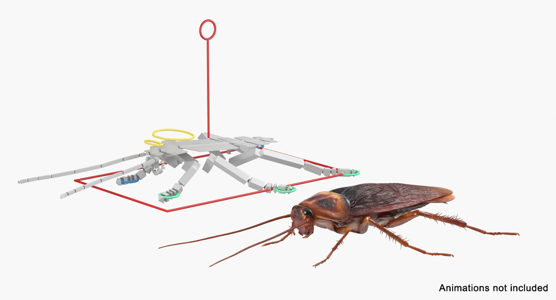 3D Rigged Cockroaches Model - TurboSquid 1225671