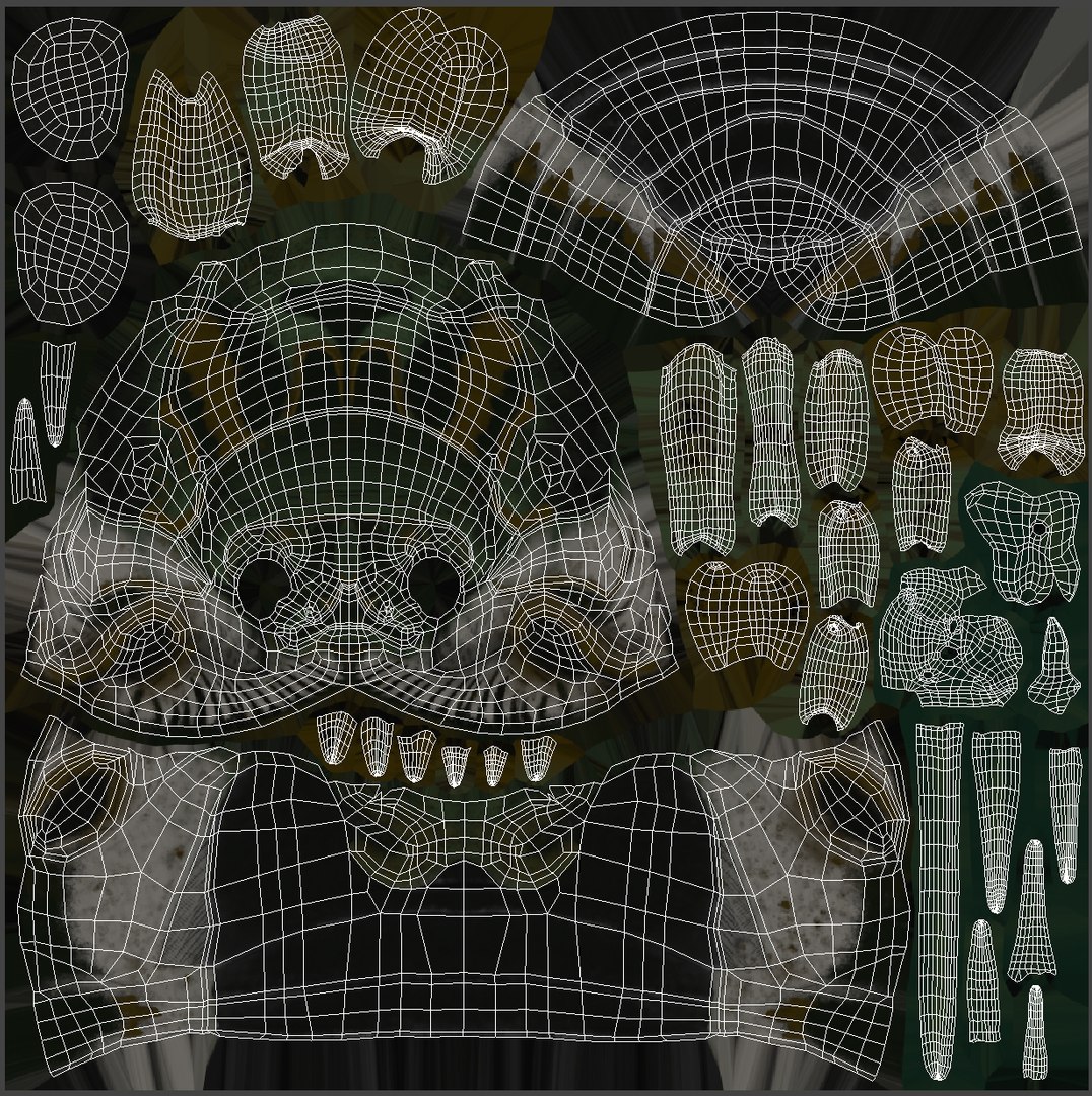 Cicada Static 3D Model - TurboSquid 1991190