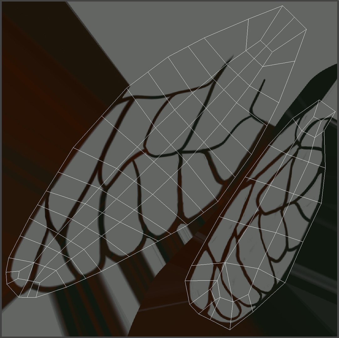 Cicada Static 3D Model - TurboSquid 1991190