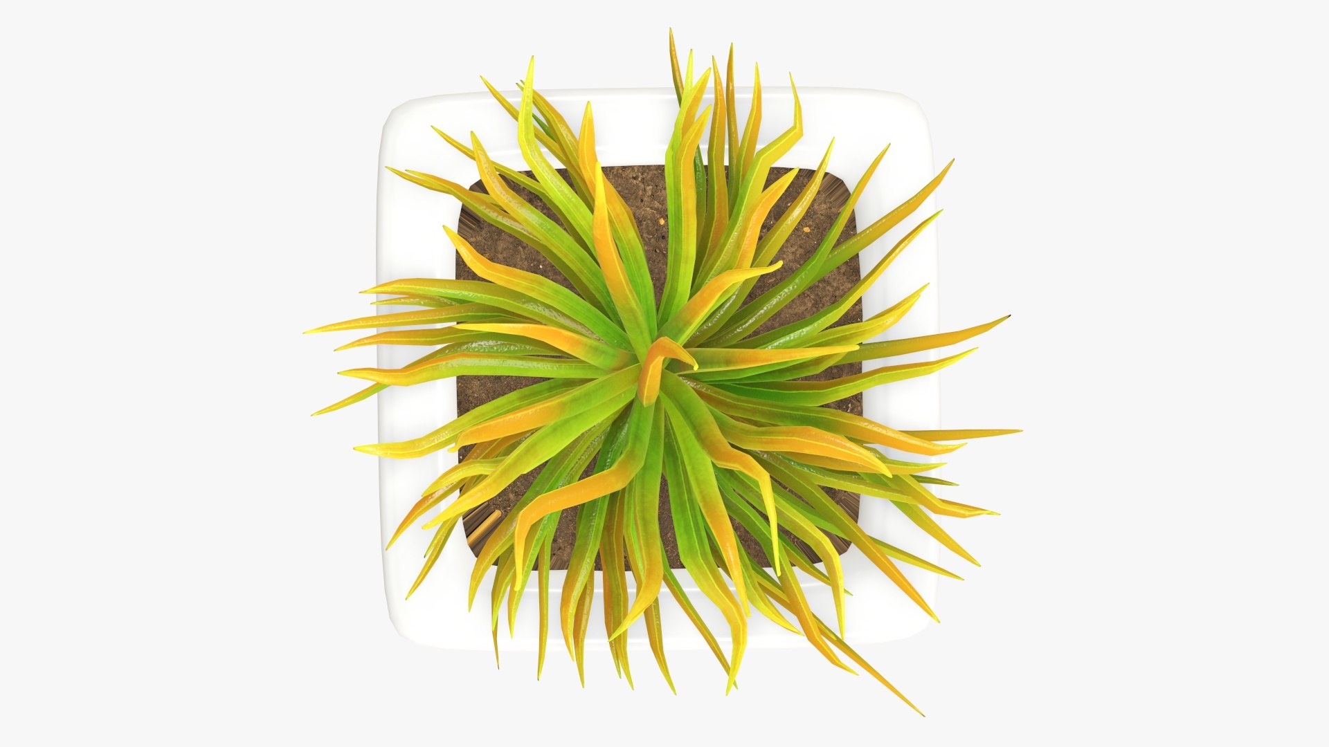 3D Plant Artificial Model - TurboSquid 1651162