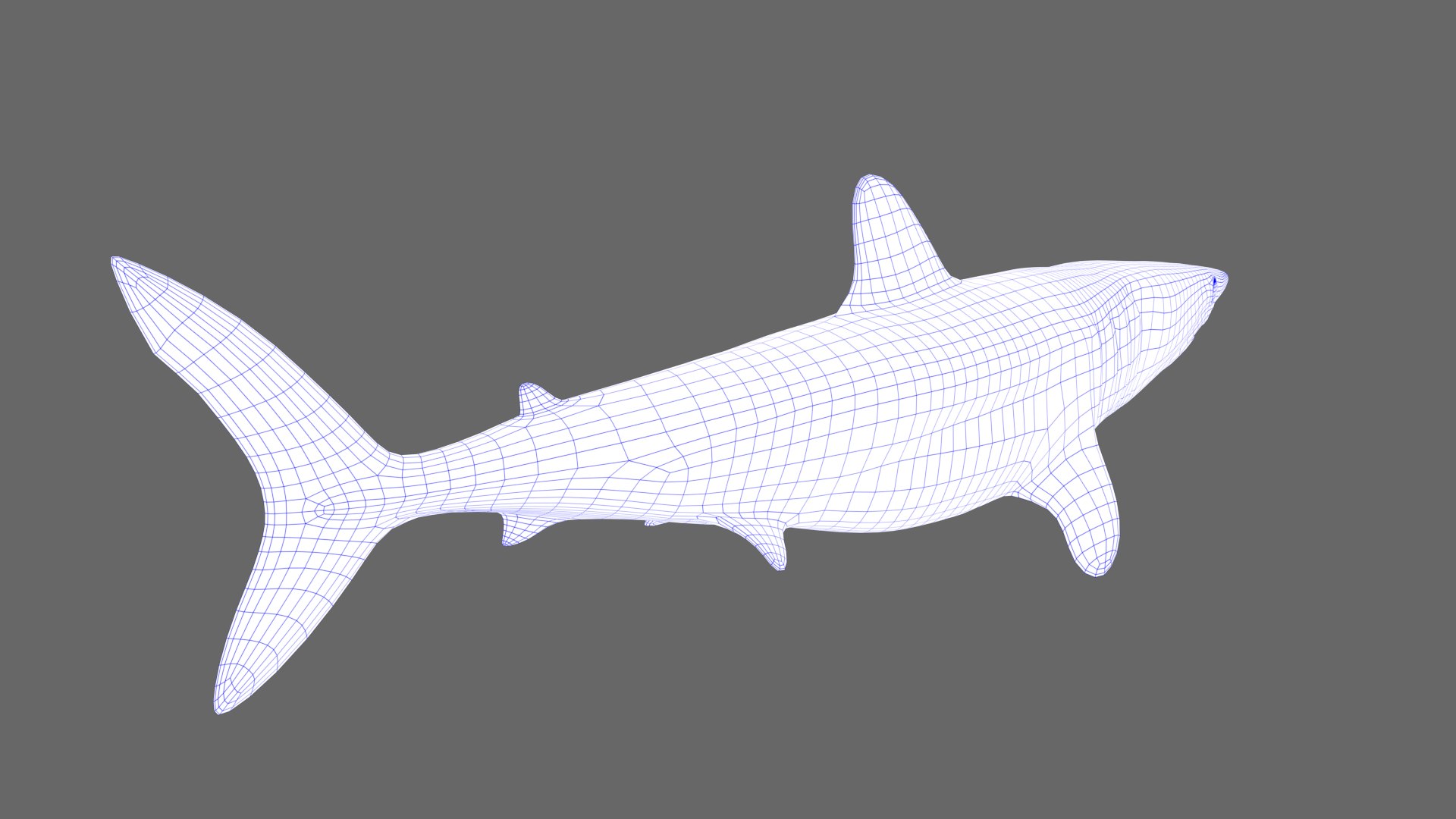 3D shortfin mako shark model - TurboSquid 1393204
