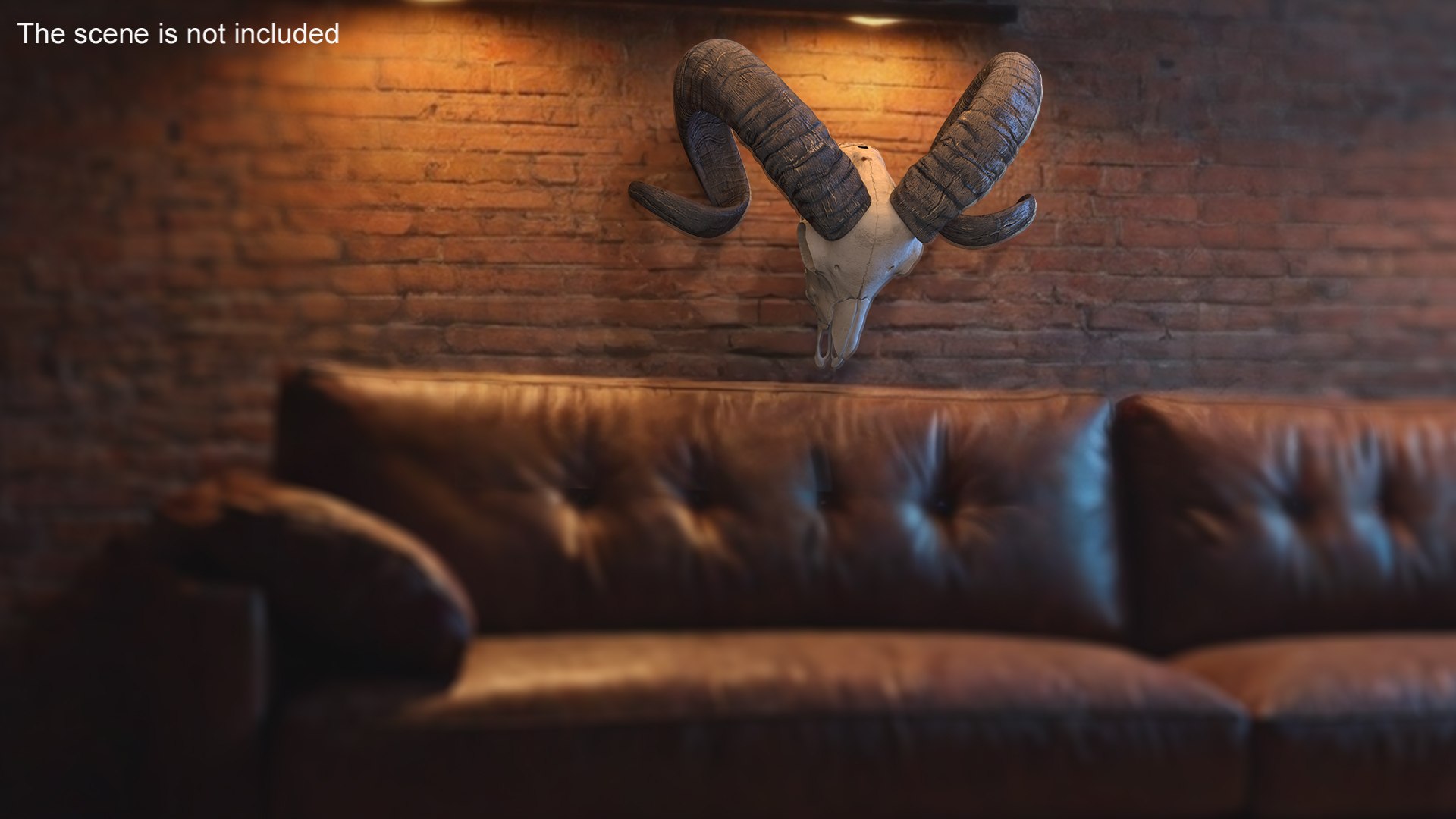 Sawed Off Mountain Ram Horns Black 3D Model - TurboSquid 2325311