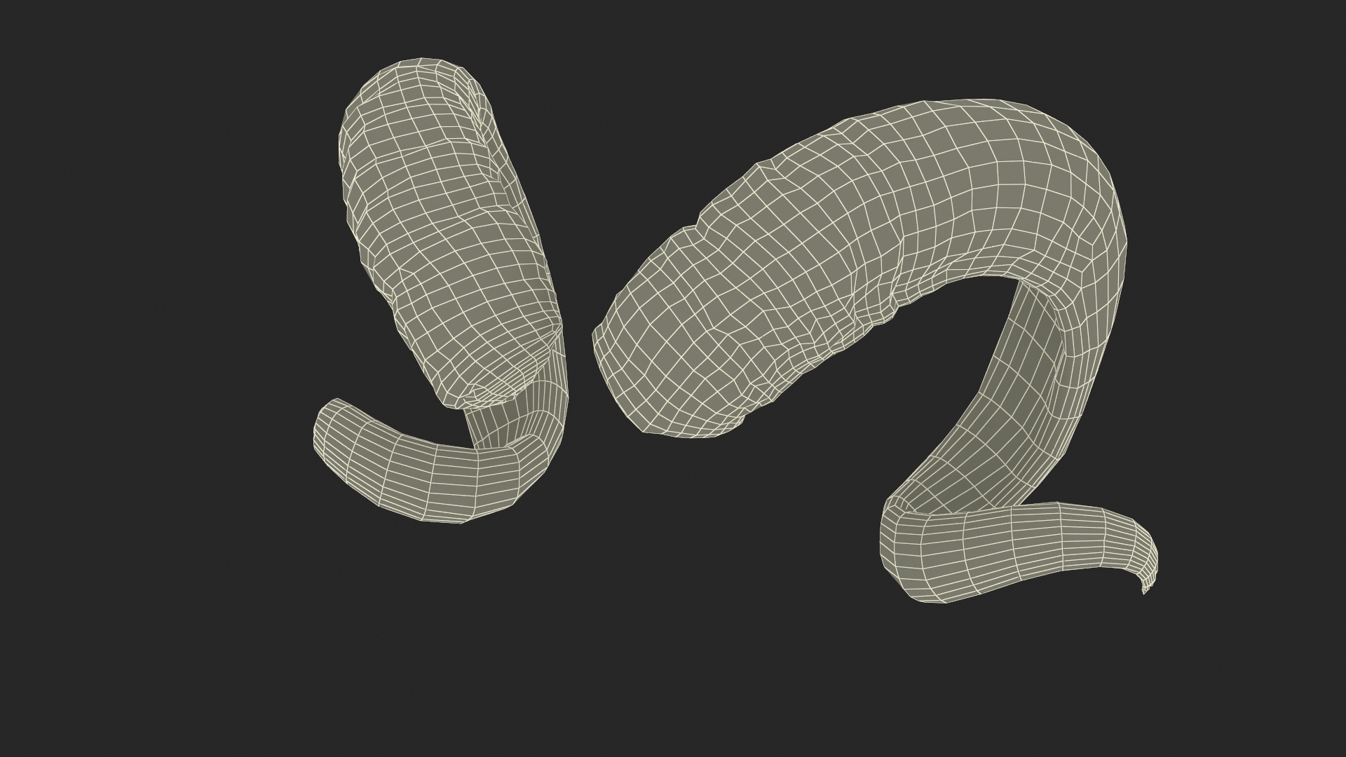 Sawed Off Mountain Ram Horns Black 3D Model - TurboSquid 2325311