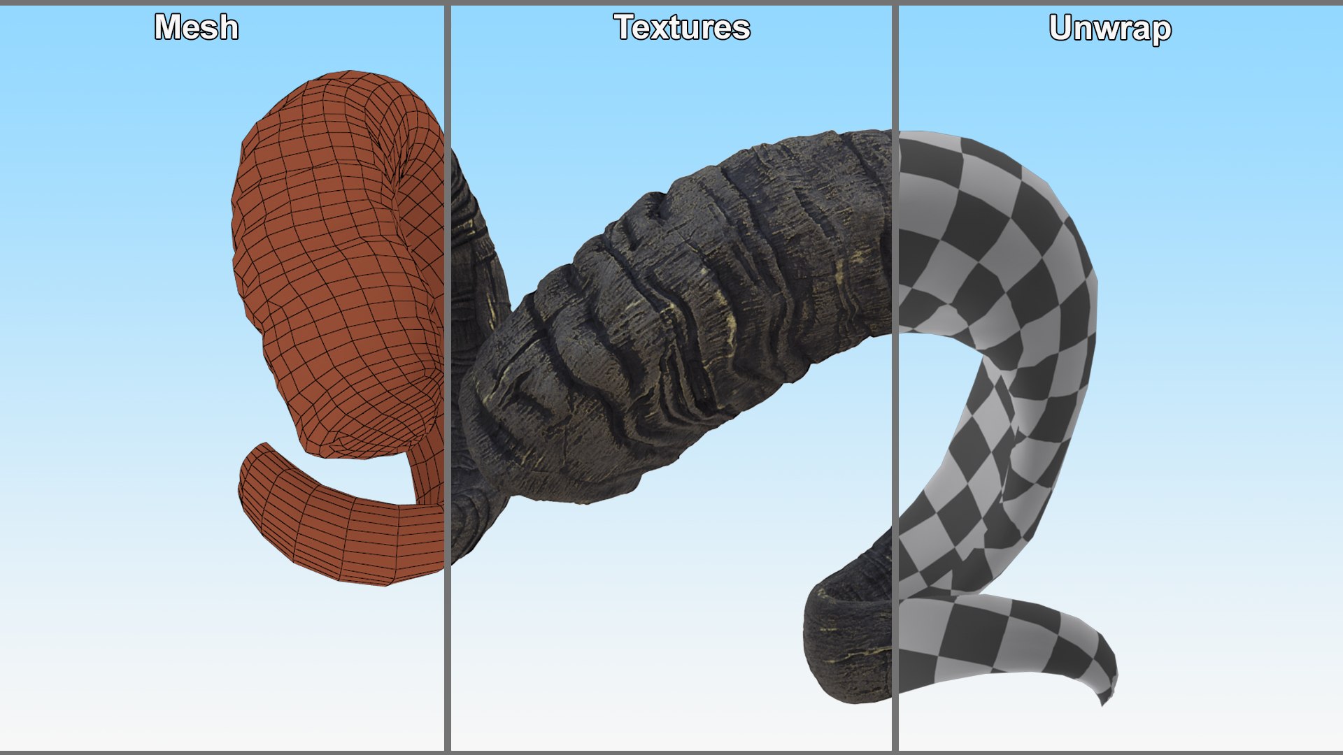 Sawed Off Mountain Ram Horns Black 3D Model - TurboSquid 2325311