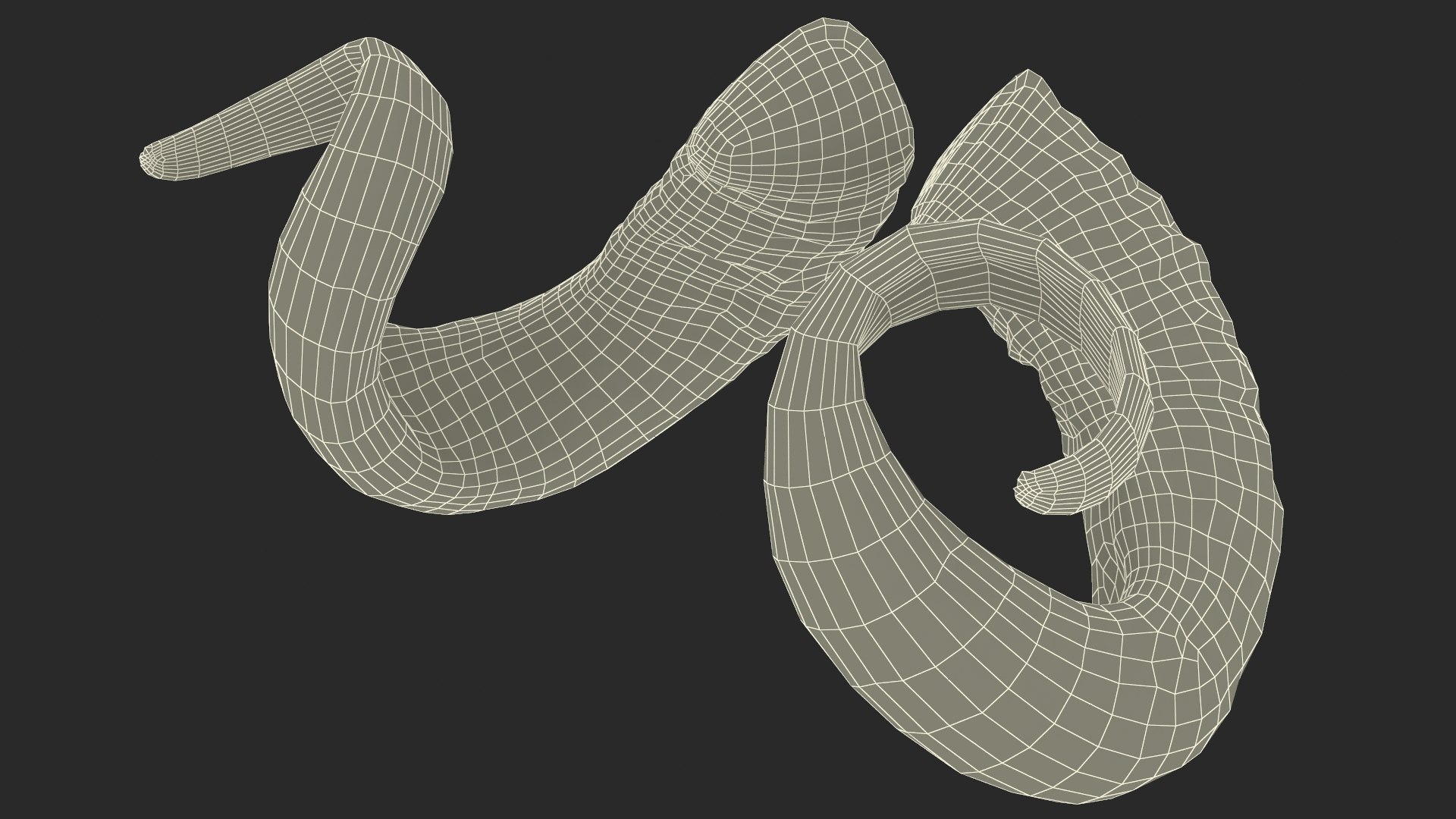 Sawed Off Mountain Ram Horns Black 3D Model - TurboSquid 2325311