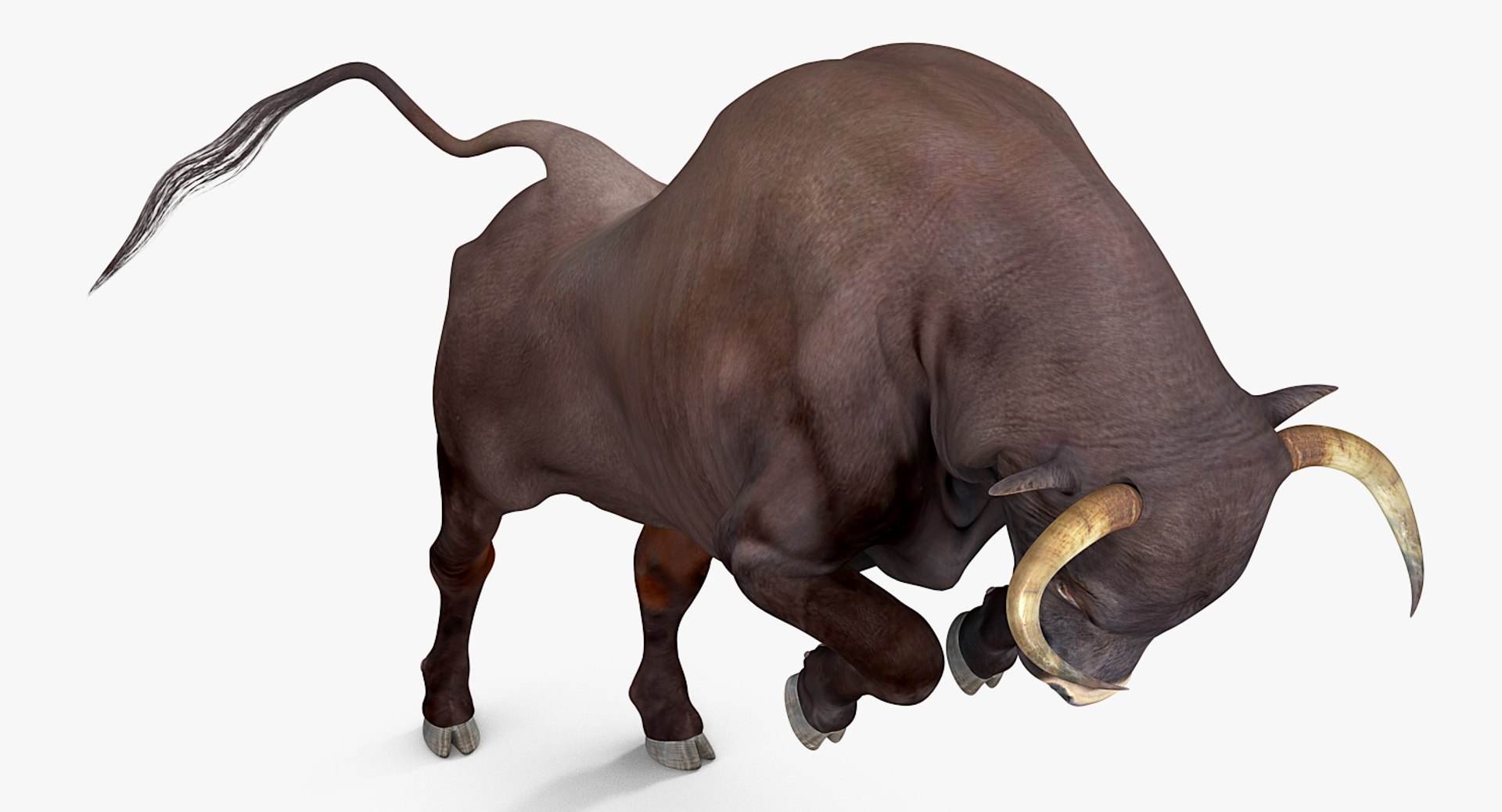 3D bull rigged model - TurboSquid 1221395