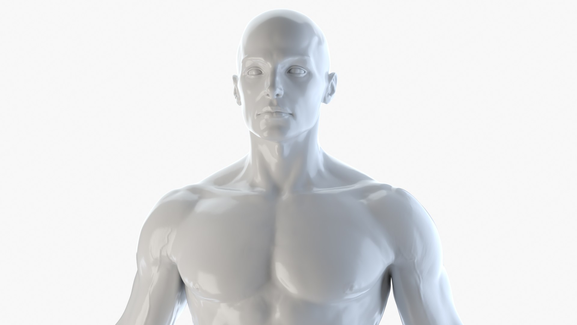Athletic Rigged Human Body 3D Model - TurboSquid 1535126