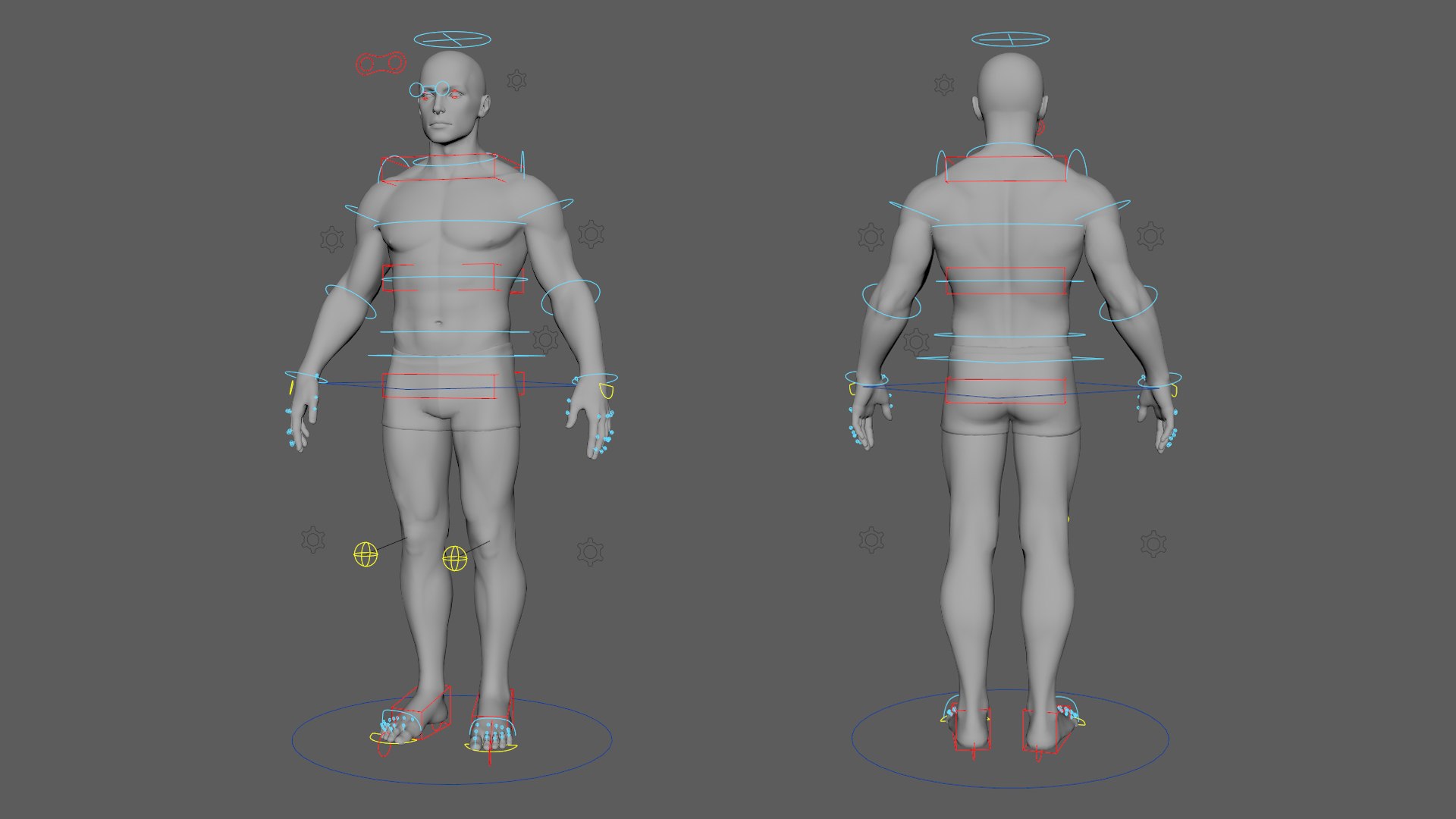 Athletic Rigged Human Body 3D Model - TurboSquid 1535126