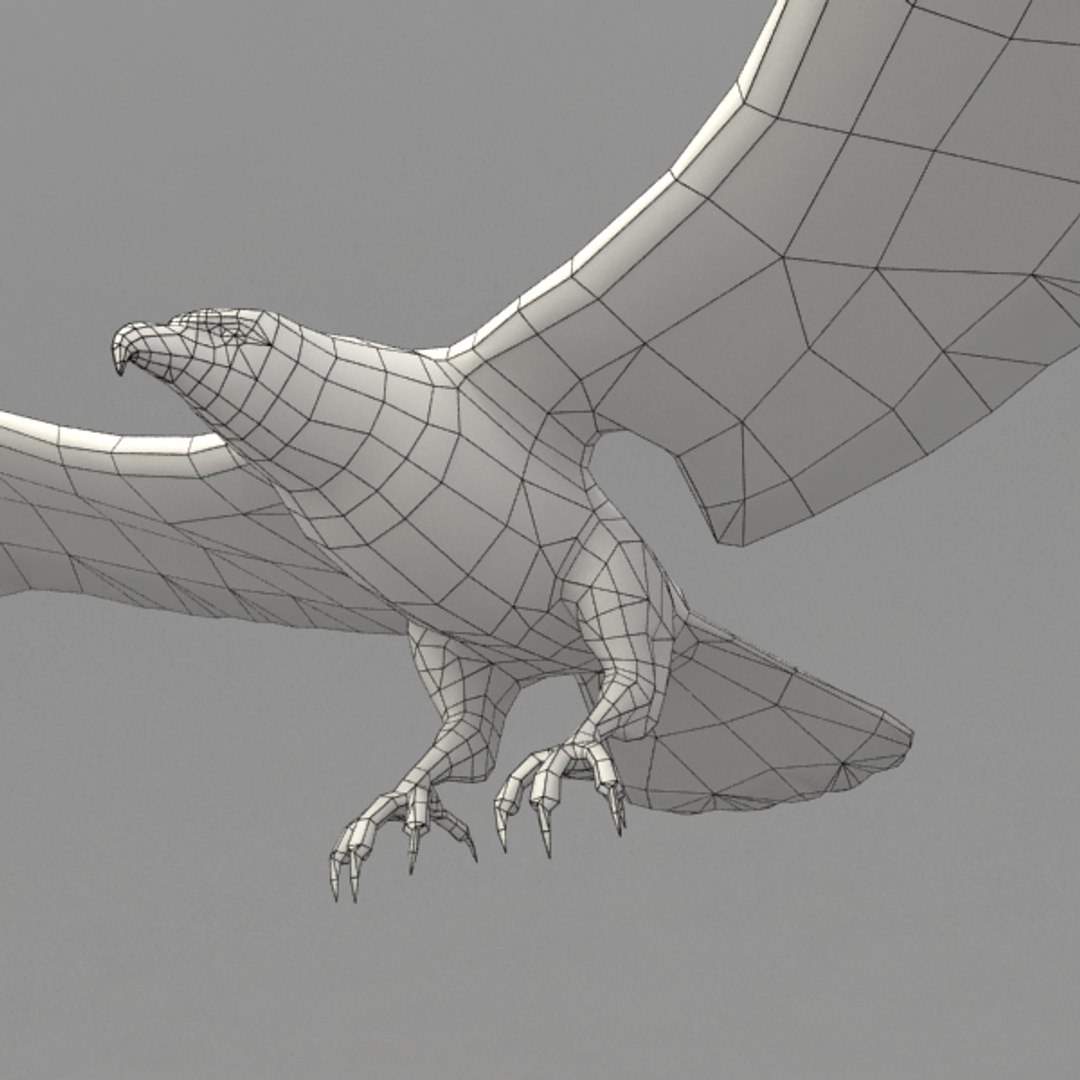 rigged flying eagle animation 3d model