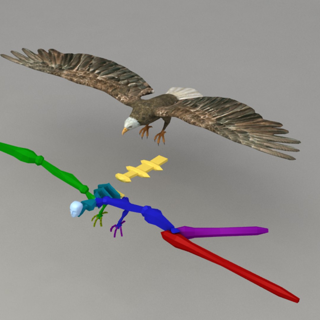 rigged flying eagle animation 3d model