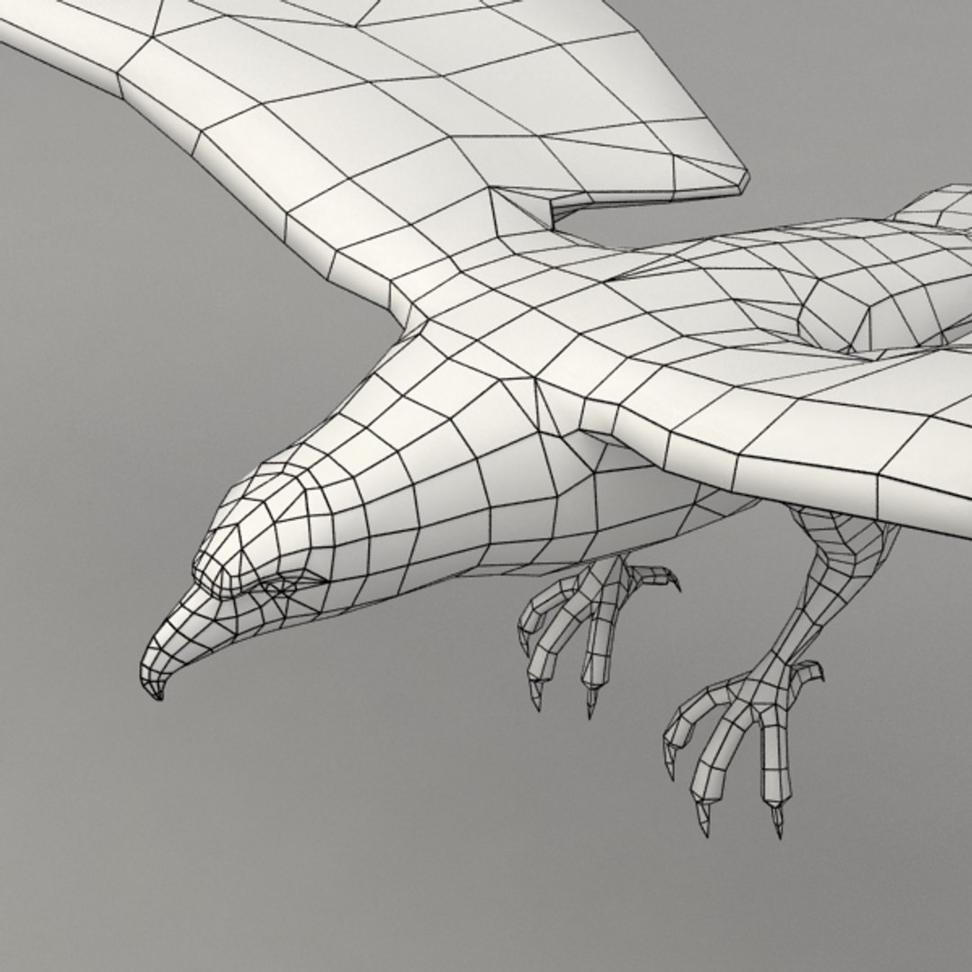 rigged flying eagle animation 3d model