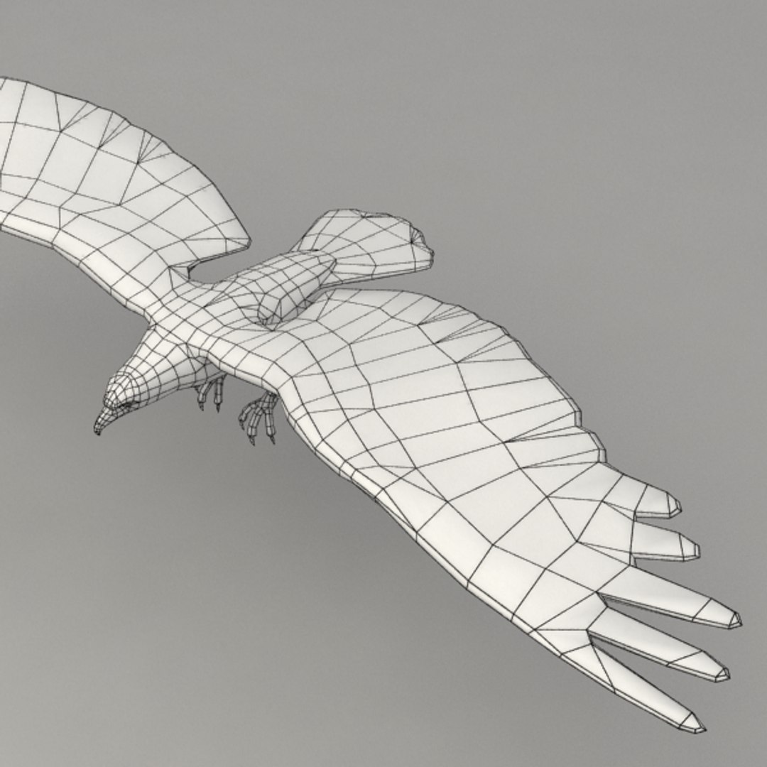 rigged flying eagle animation 3d model